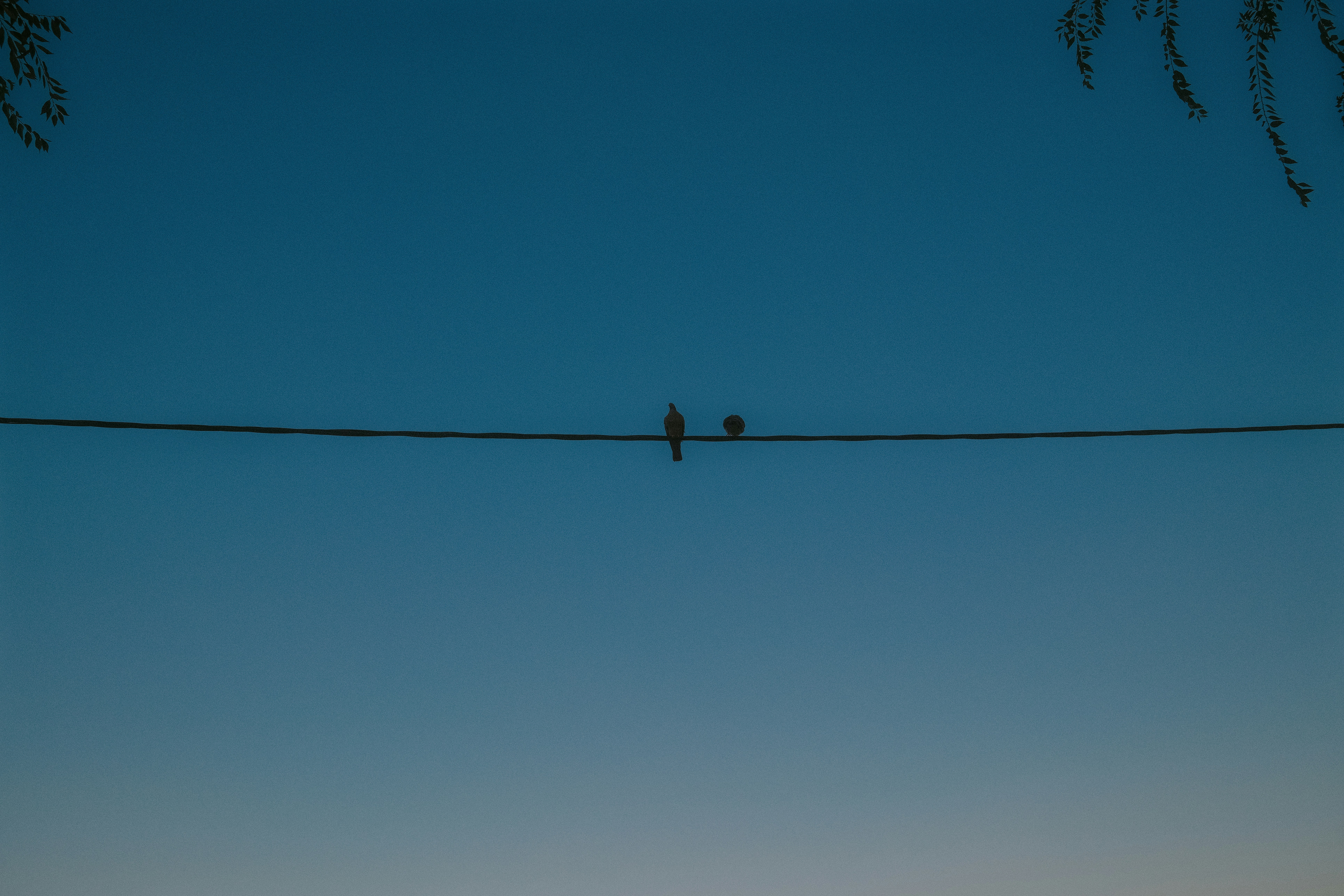Photo by Drazen Nesic with Fujifilm X100VI