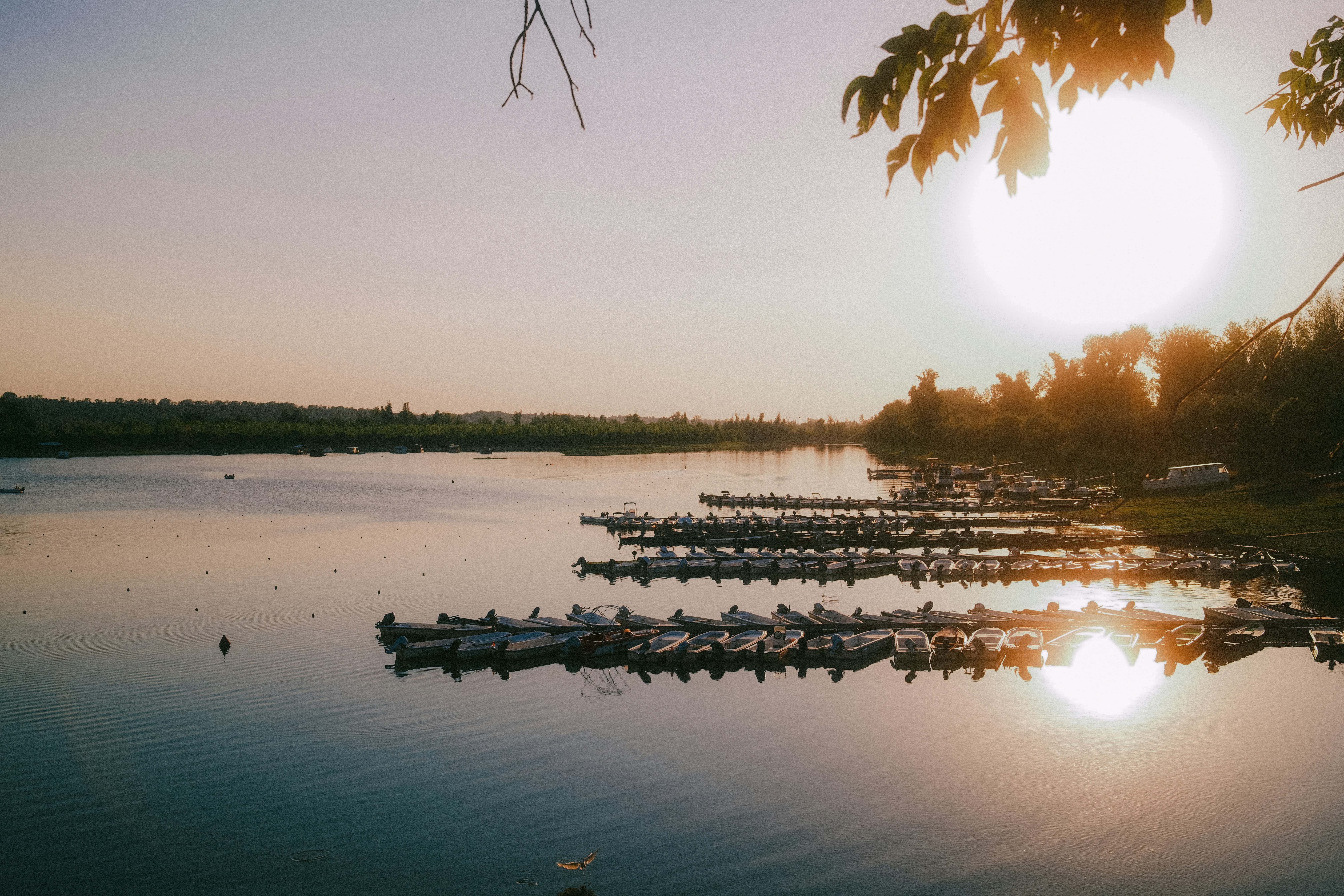 Golden Hour at the Mudflat Marina