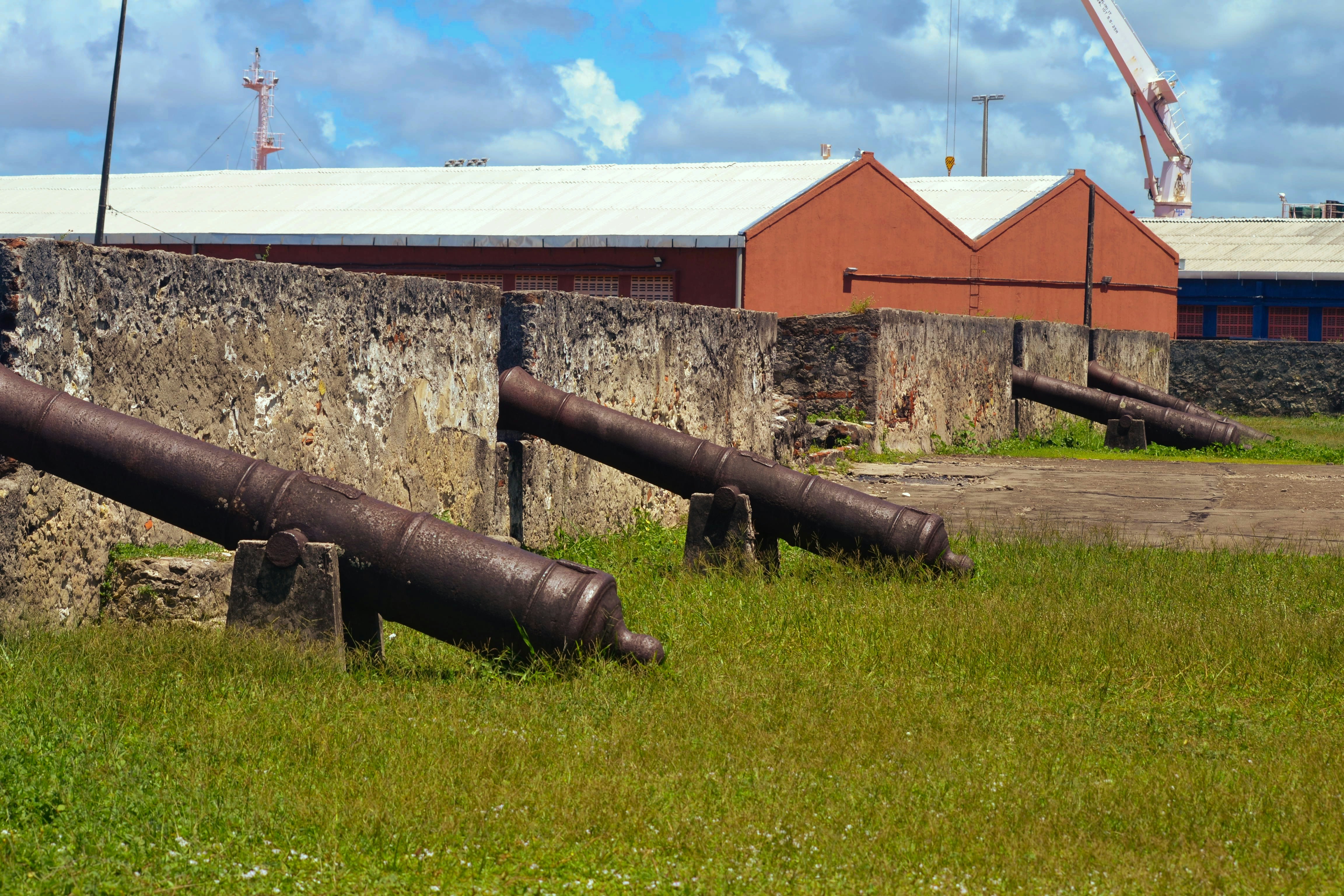 Rusty Cannons Against a Coastal Backdrop