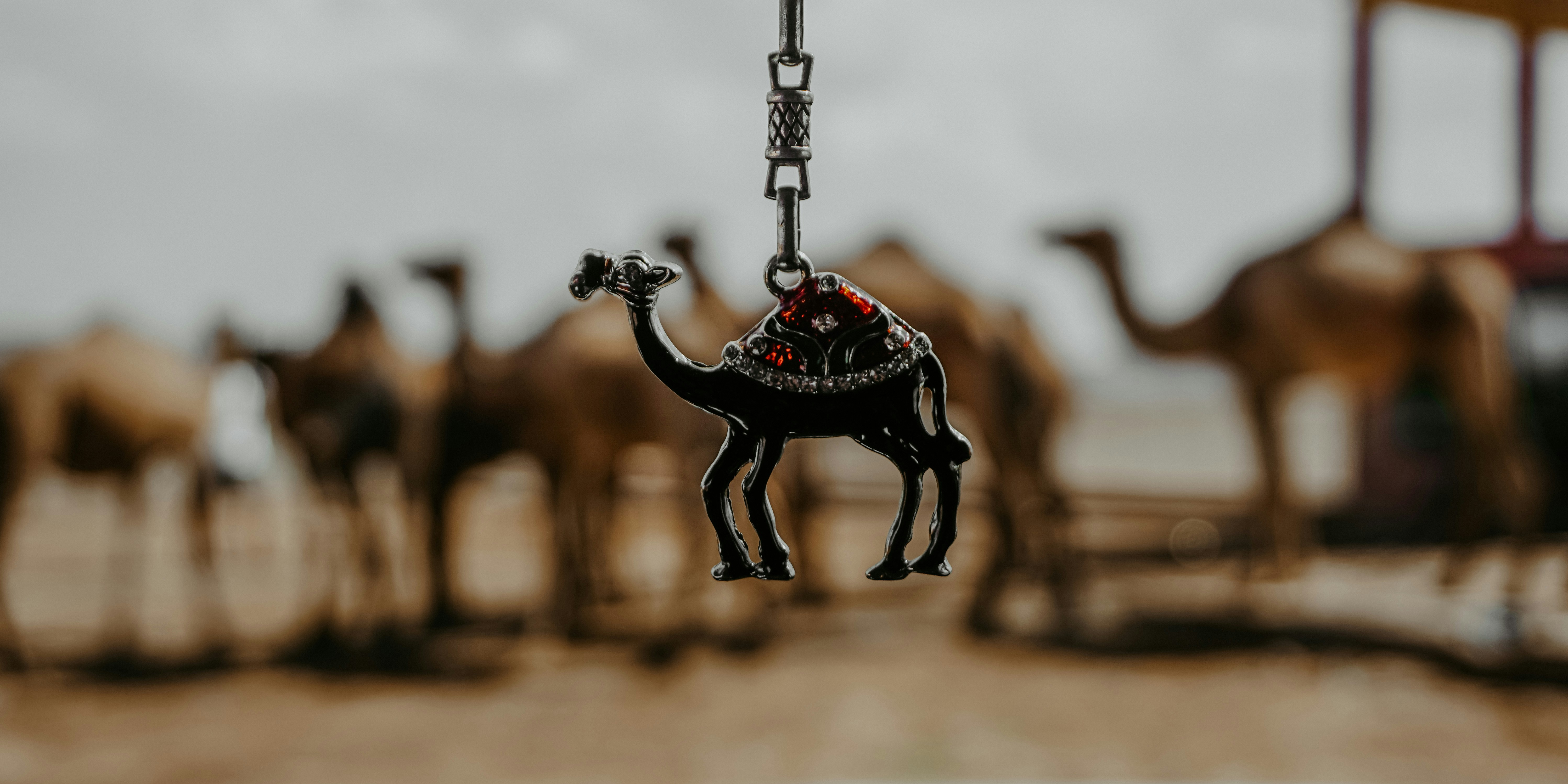 Hanging Ornament: A Shimmering Camel Charm in Focus