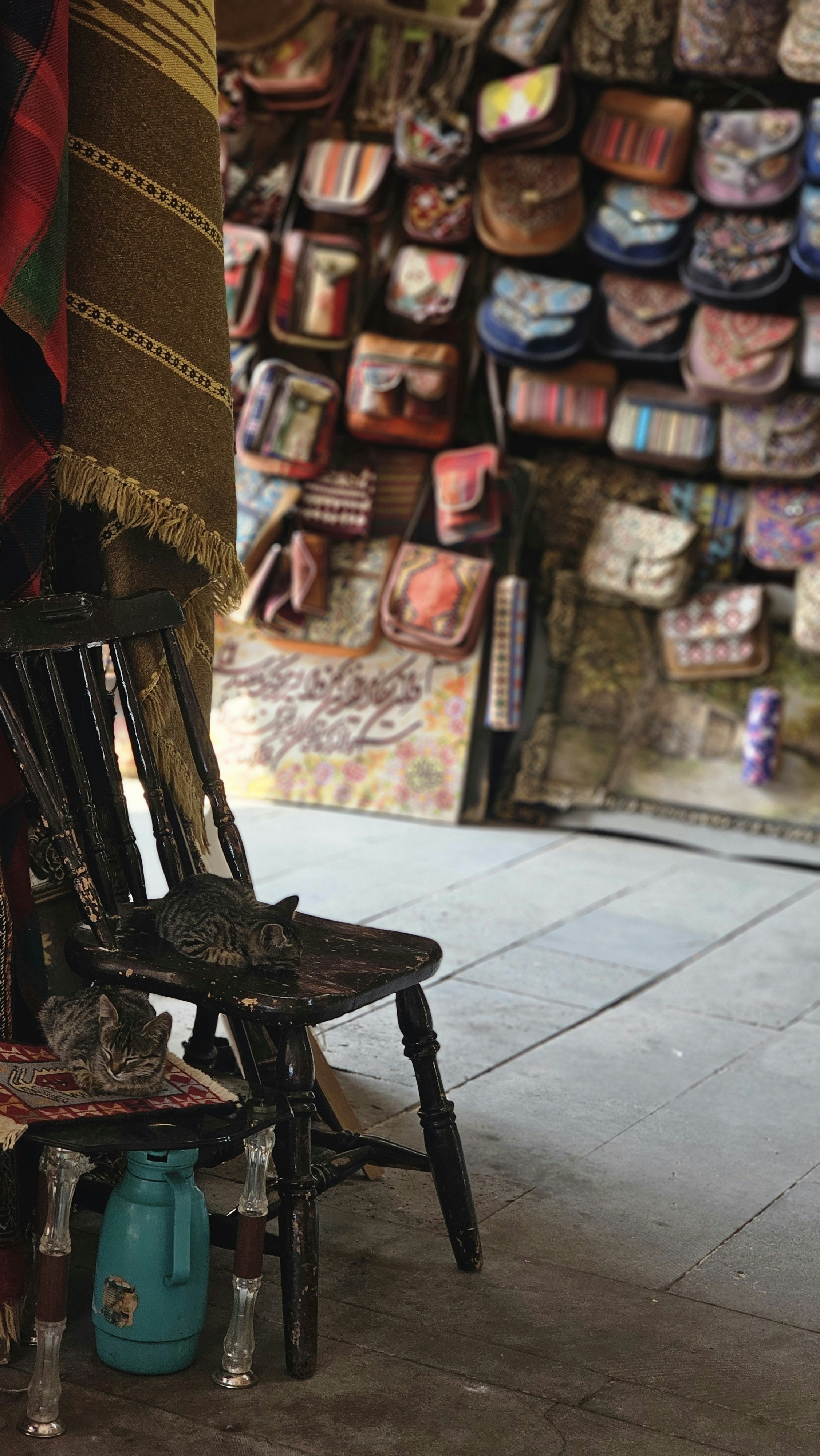 Quiet Cat Nook Under a Market’s Patchwork Canopy