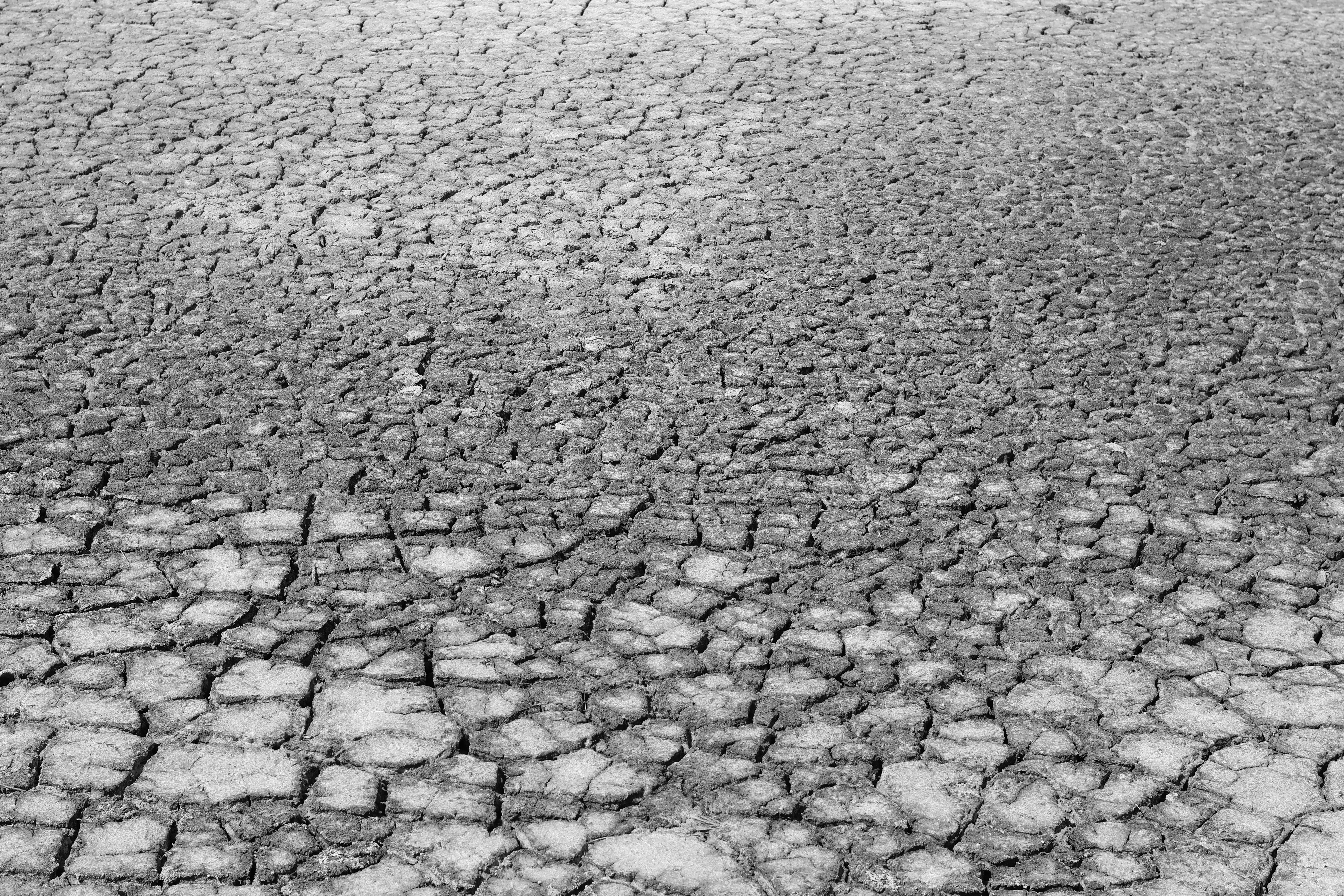 Cracked Ground: A Textured Tapestry of Drought-Earth