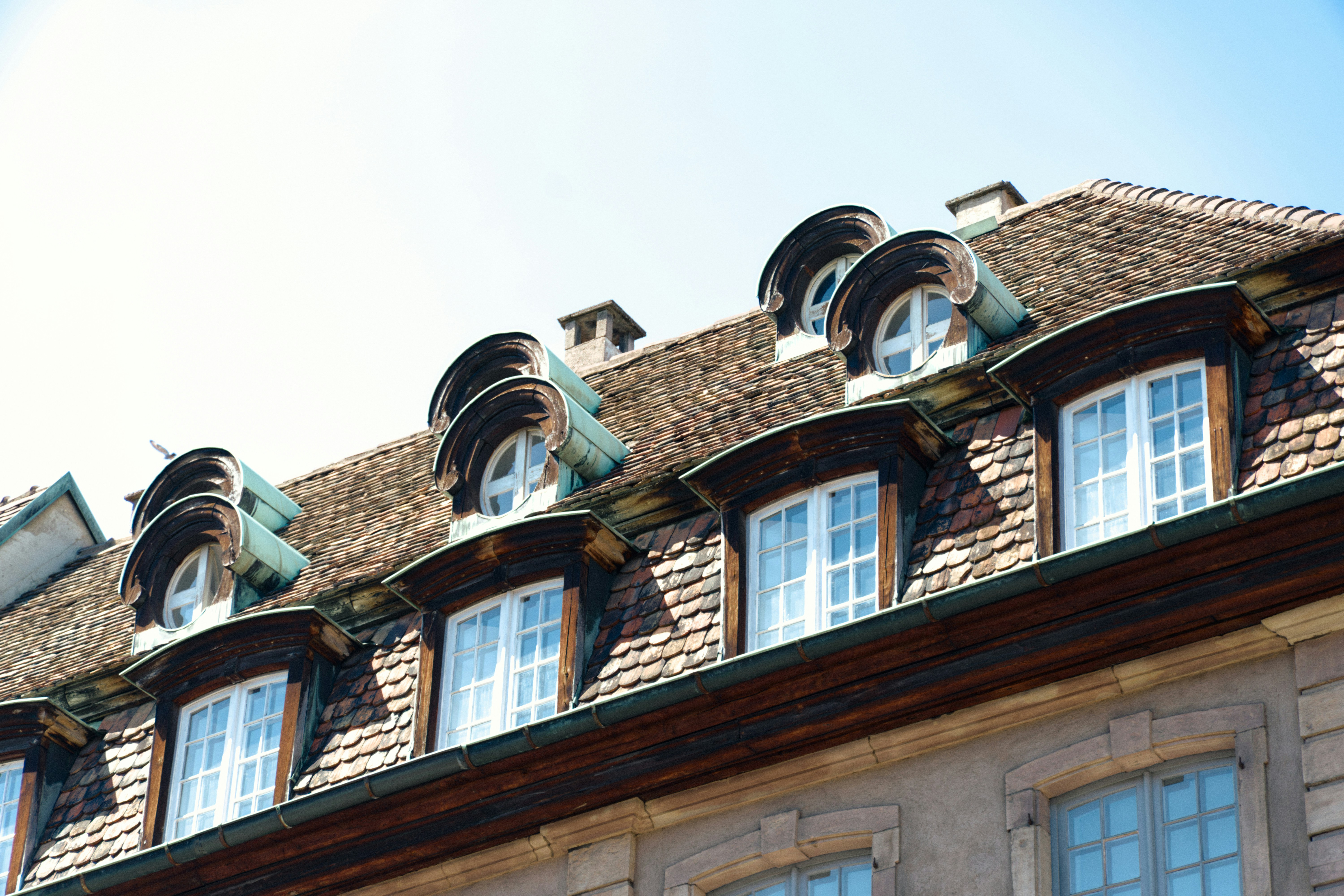 Dormer Row on a Vintage Rooftop
