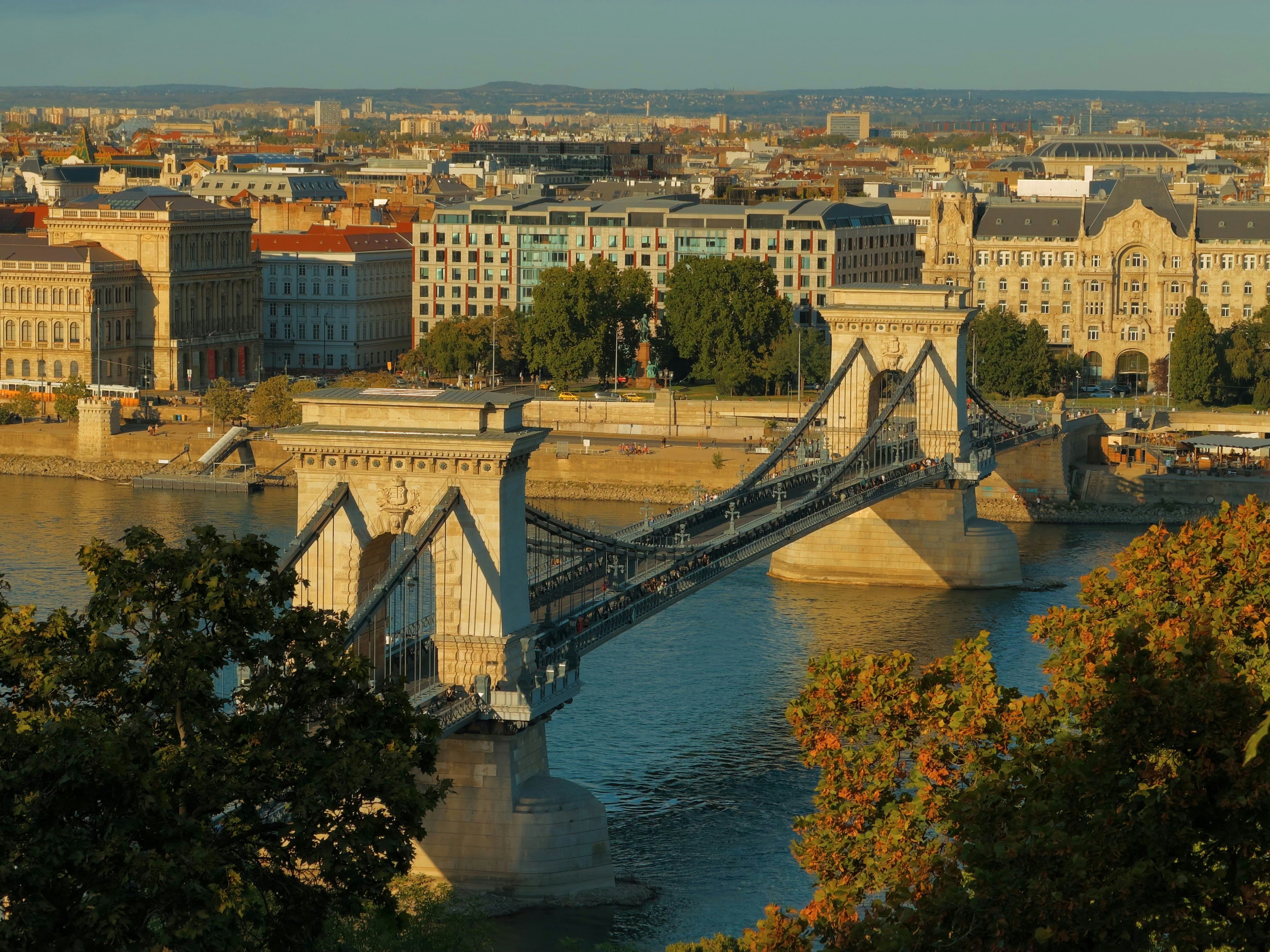 Buda Castle Bridge and Danube: Golden Hour Overlooks