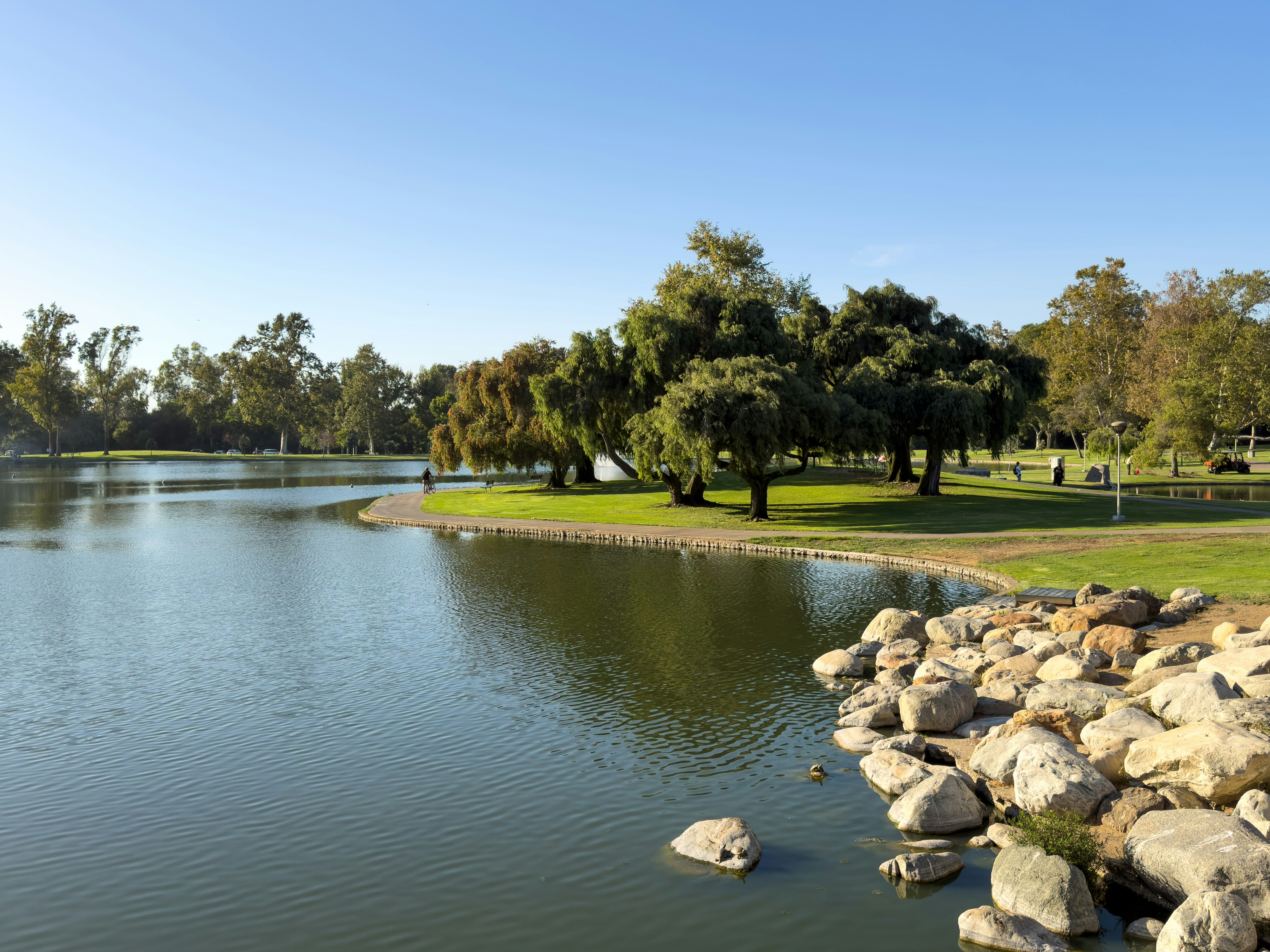 Serene Lakeside Park with Rock Embankment and Silhouetted Trees