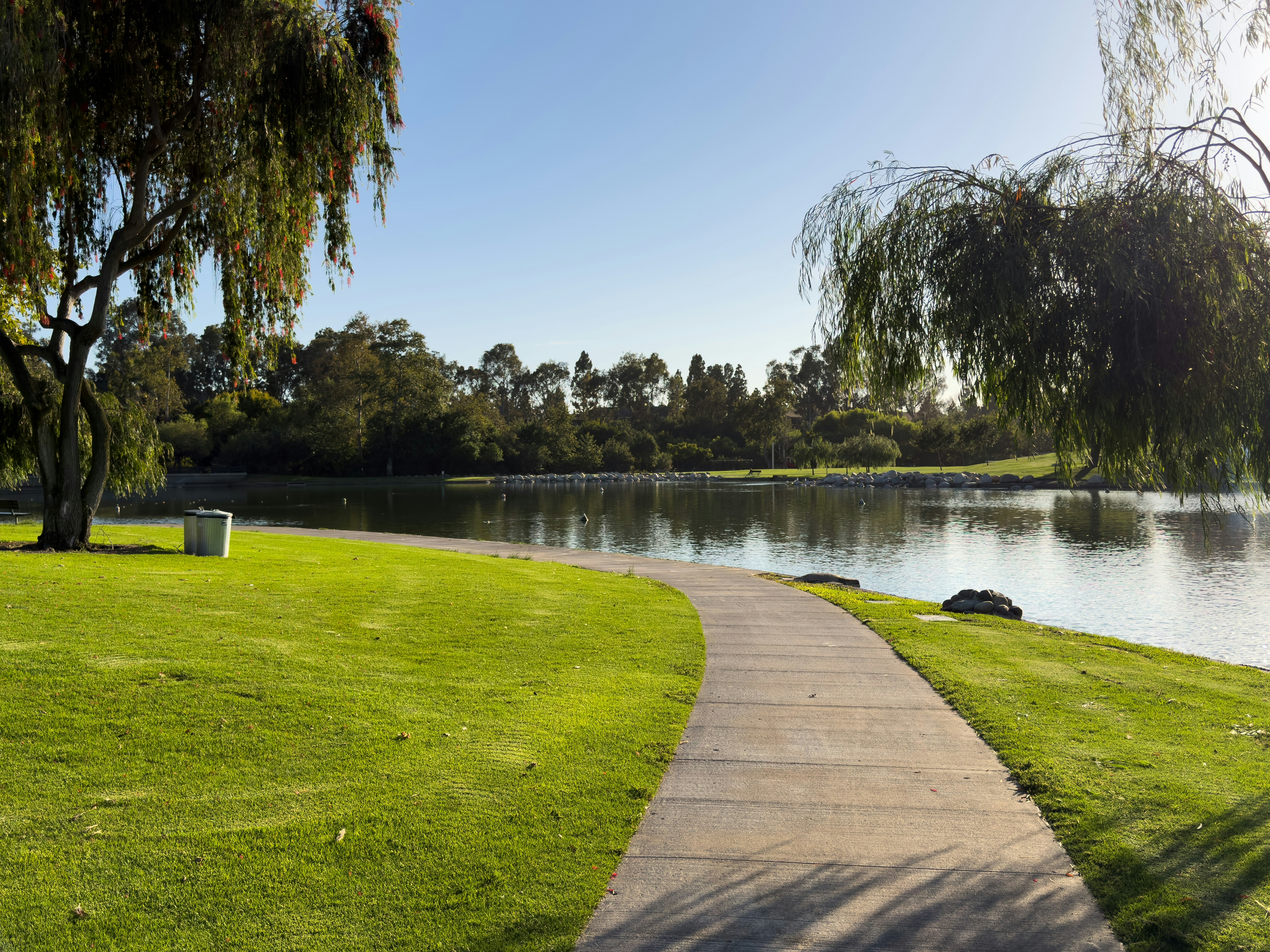 Curved Riverside Pathway Through Sunlit Park