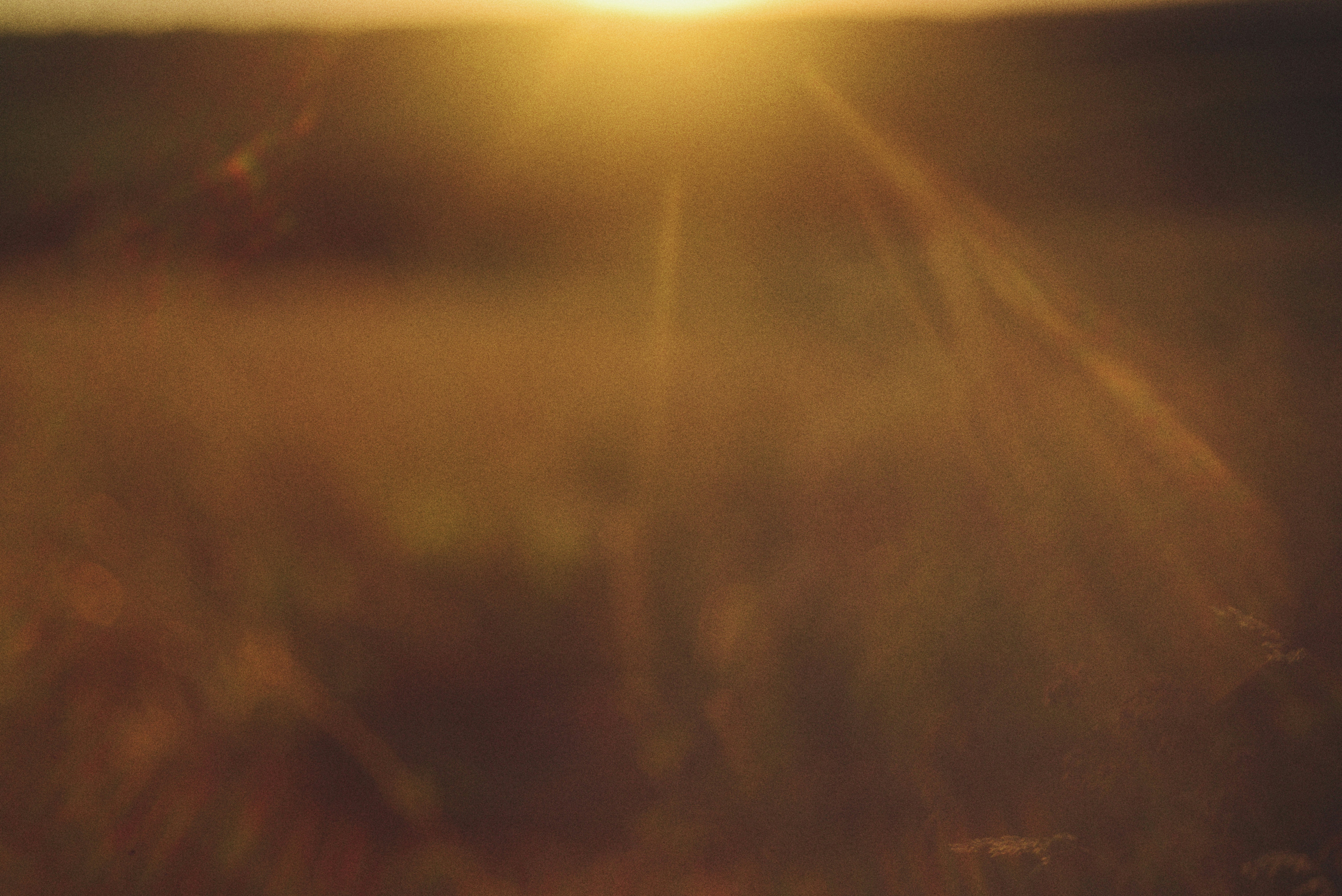 A soft, sunlit field bathed in warm golden tones with faint lens flare; the horizon glows as light scatters through a hazy atmosphere, creating an ethereal abstract landscape.