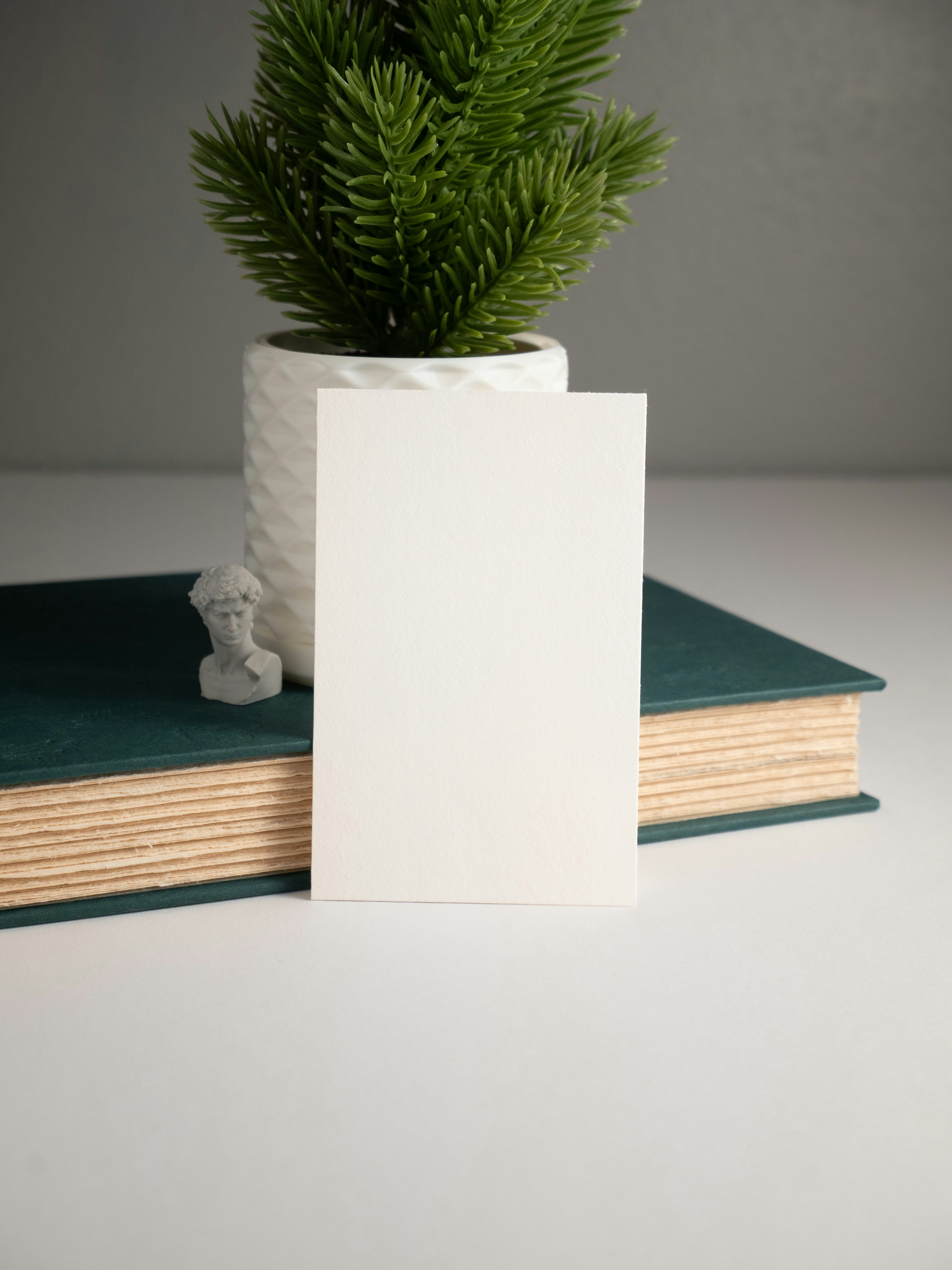 Minimal Still Life: Card in Front of Botanical and Sculptural Accents