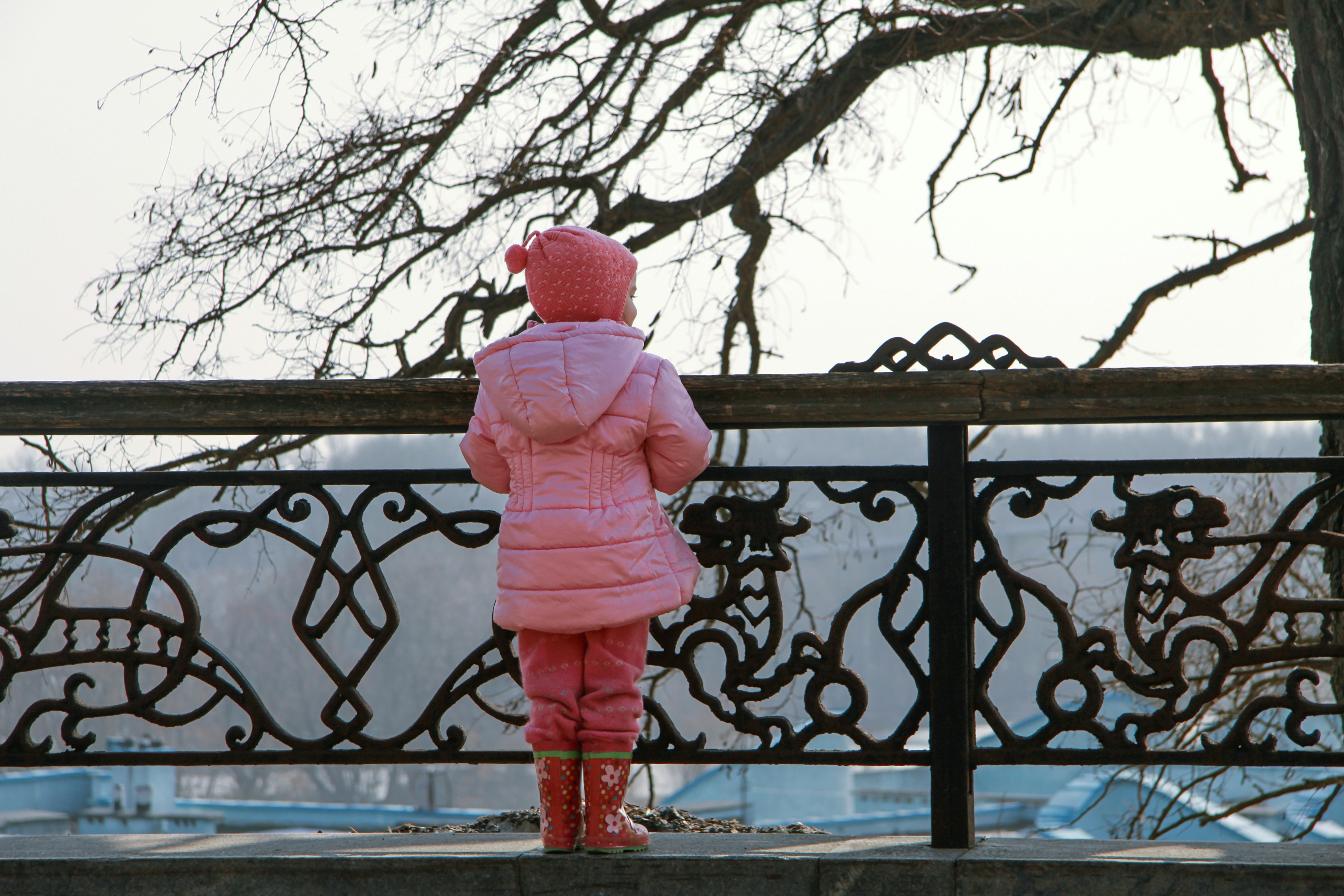 Child in a pink snowsuit gazes over an ornate railing at a distant winter scene