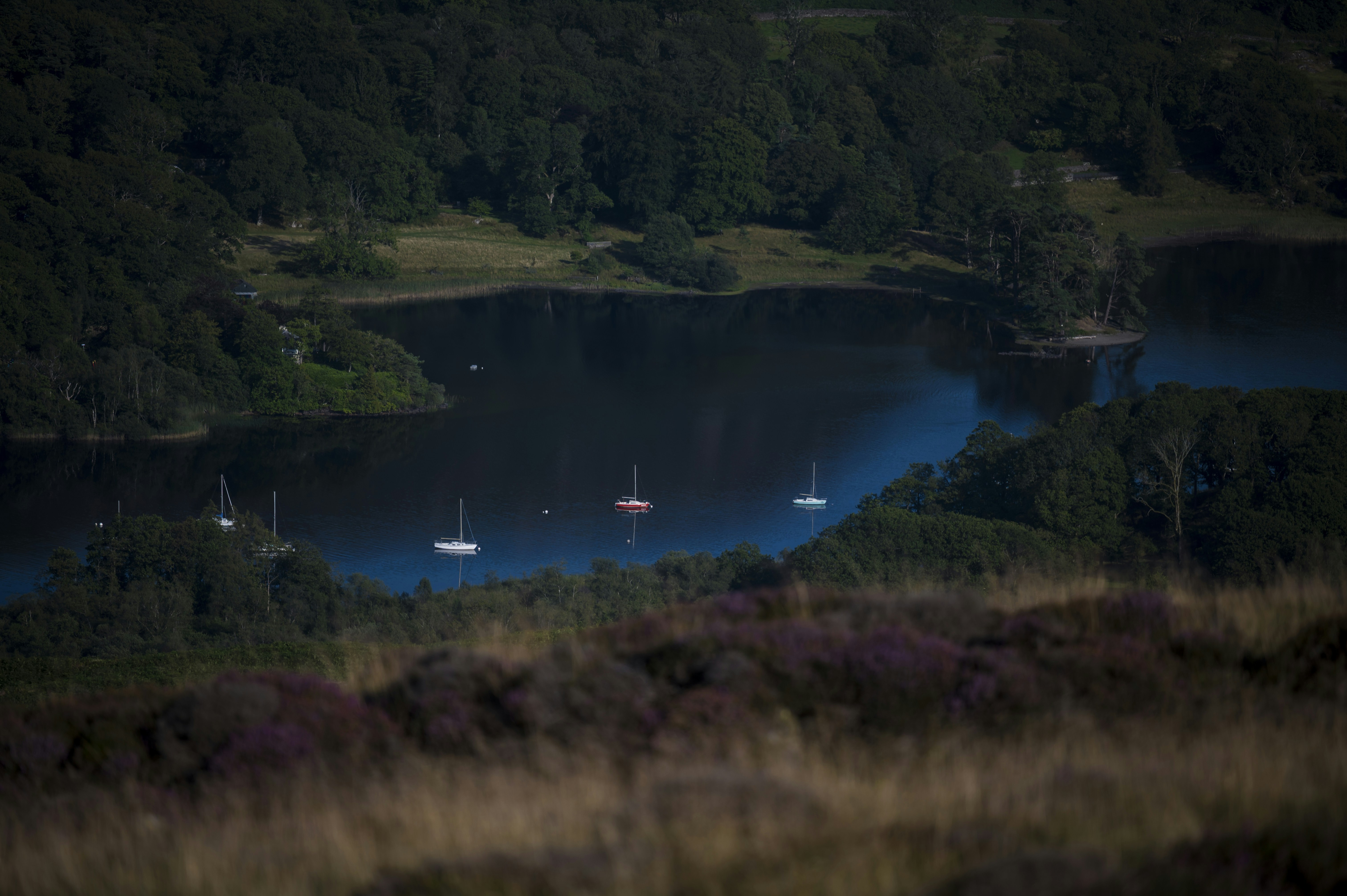 Calm lake with several sailboats anchored near the shore, viewed from a grassy hillside; a tranquil, slightly misty scene emphasizing color and depth.