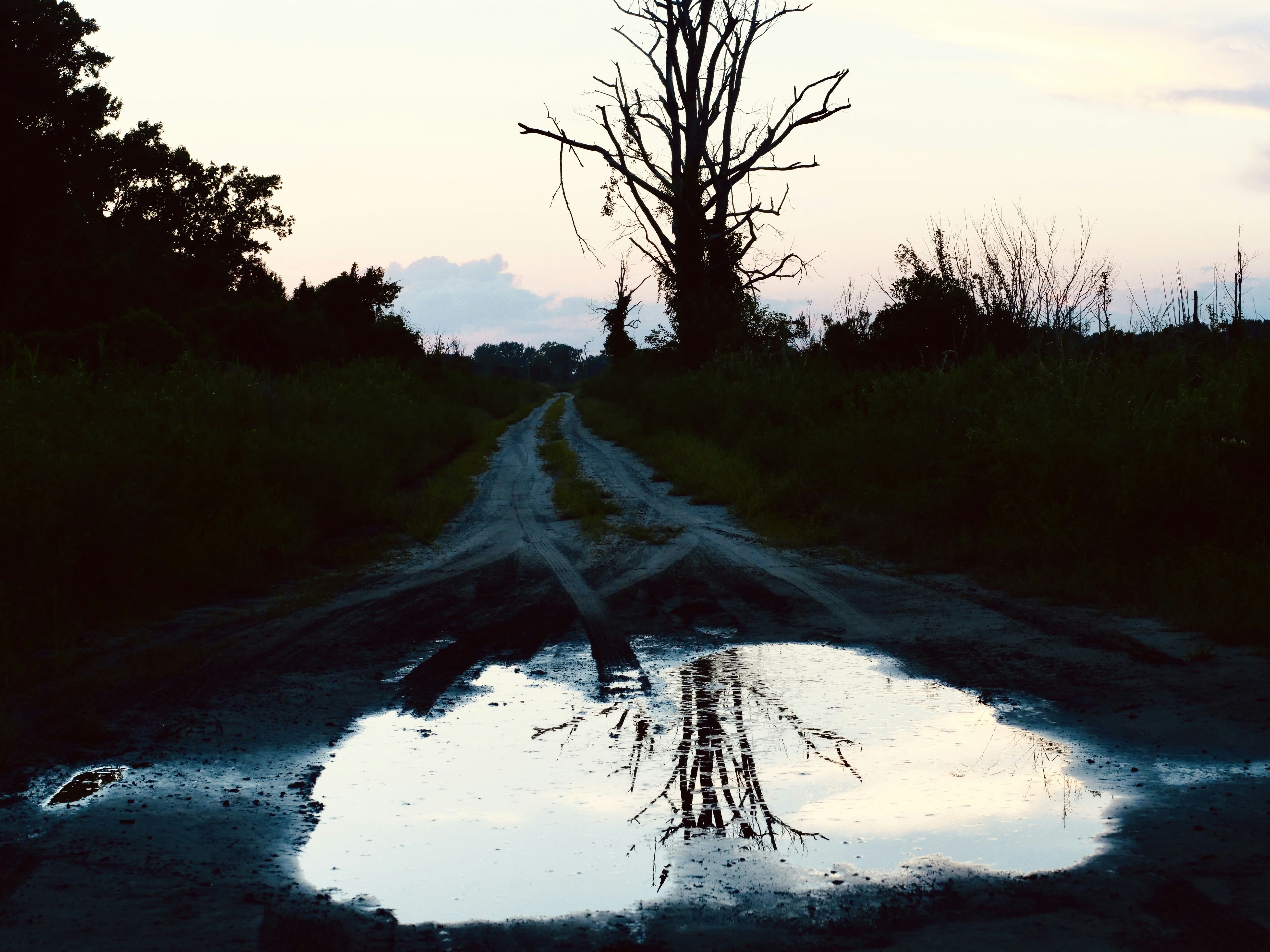 Puddle Mirror on a Quiet Dusk Road