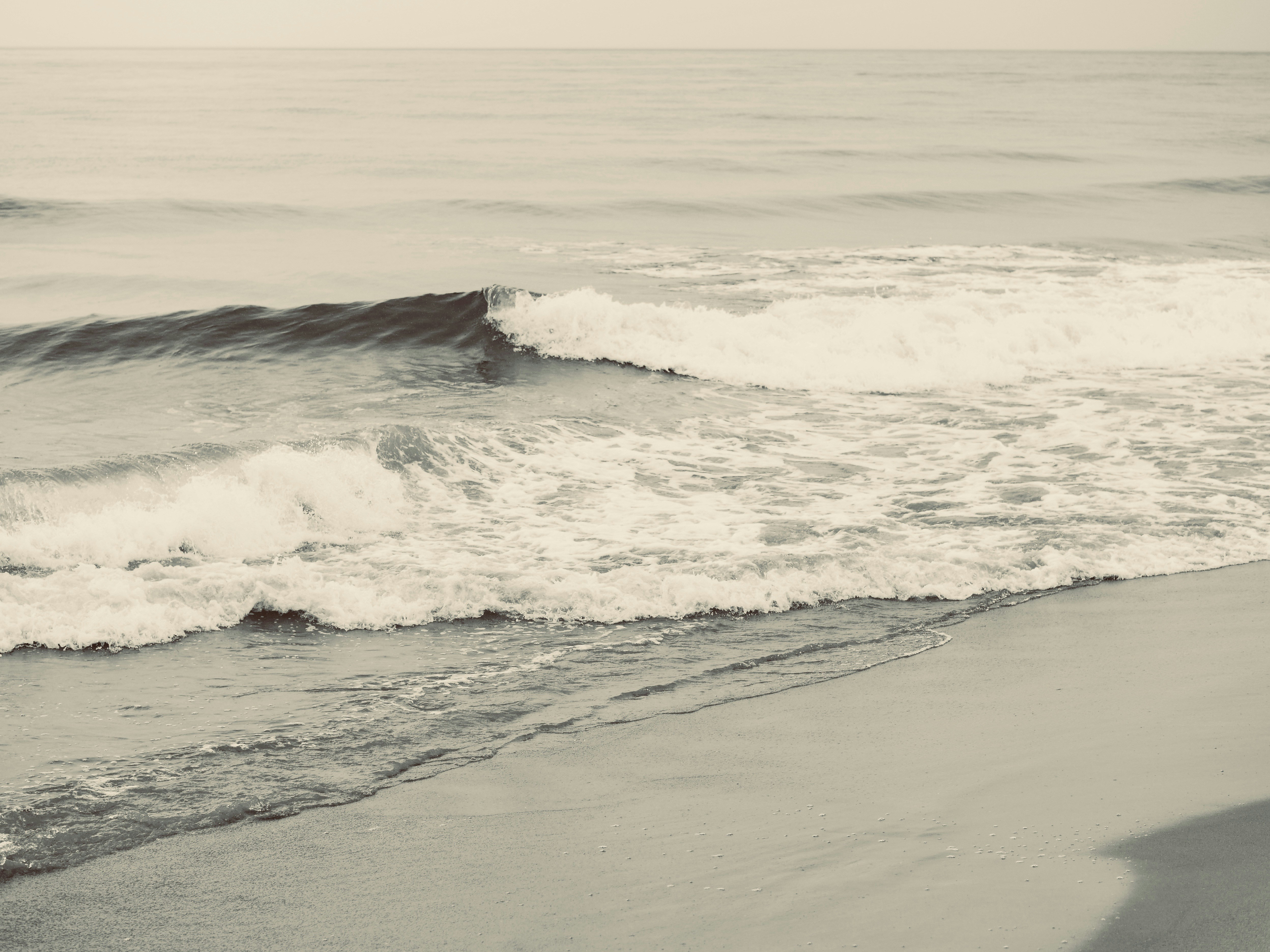 Quiet Horizon: A Wave Breaks at the Shoreline
