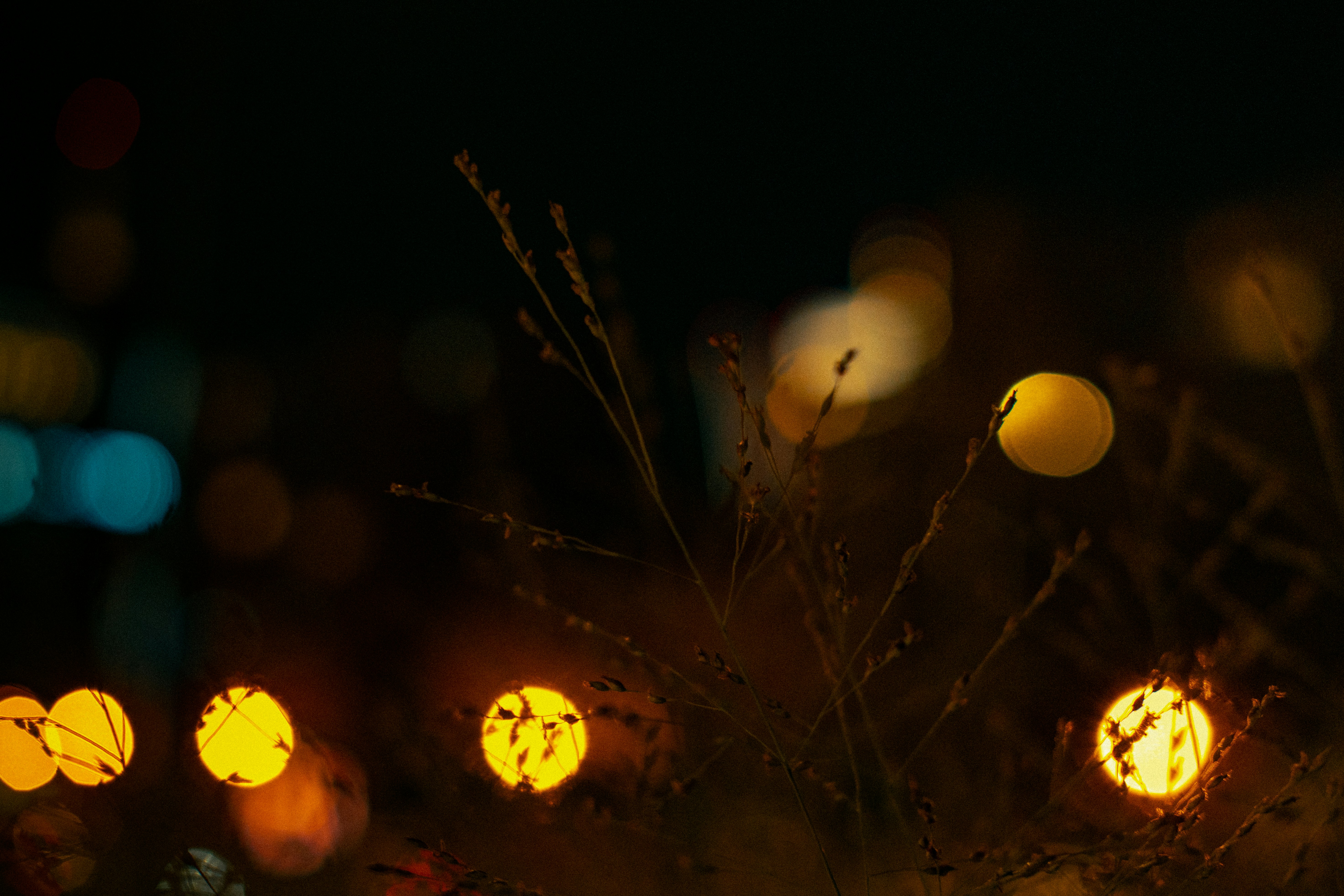 Night’s Quiet Glow Through Distant Grasses