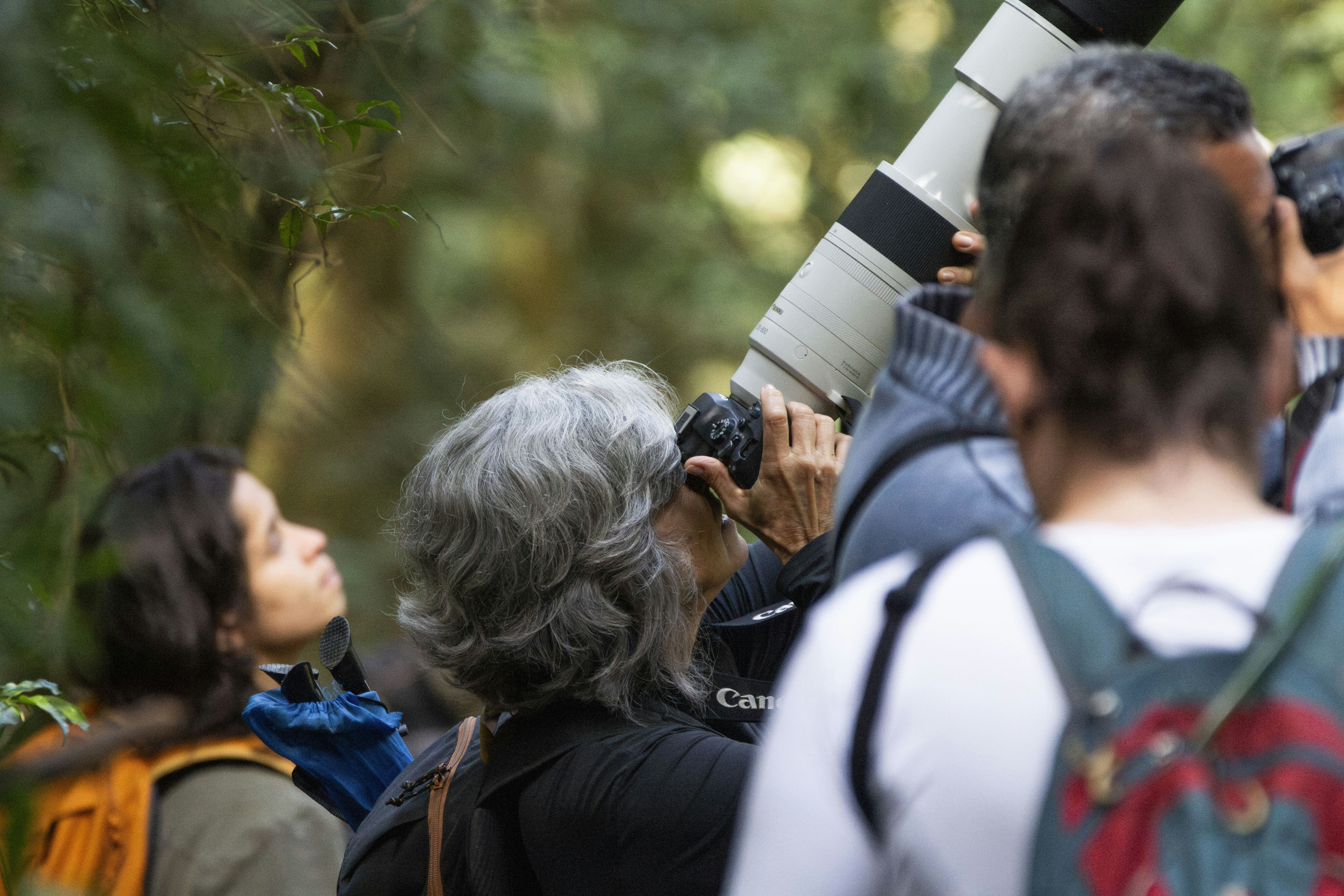 In Studio Silence: A Lens-Focused Moment Surrounded by Photographers