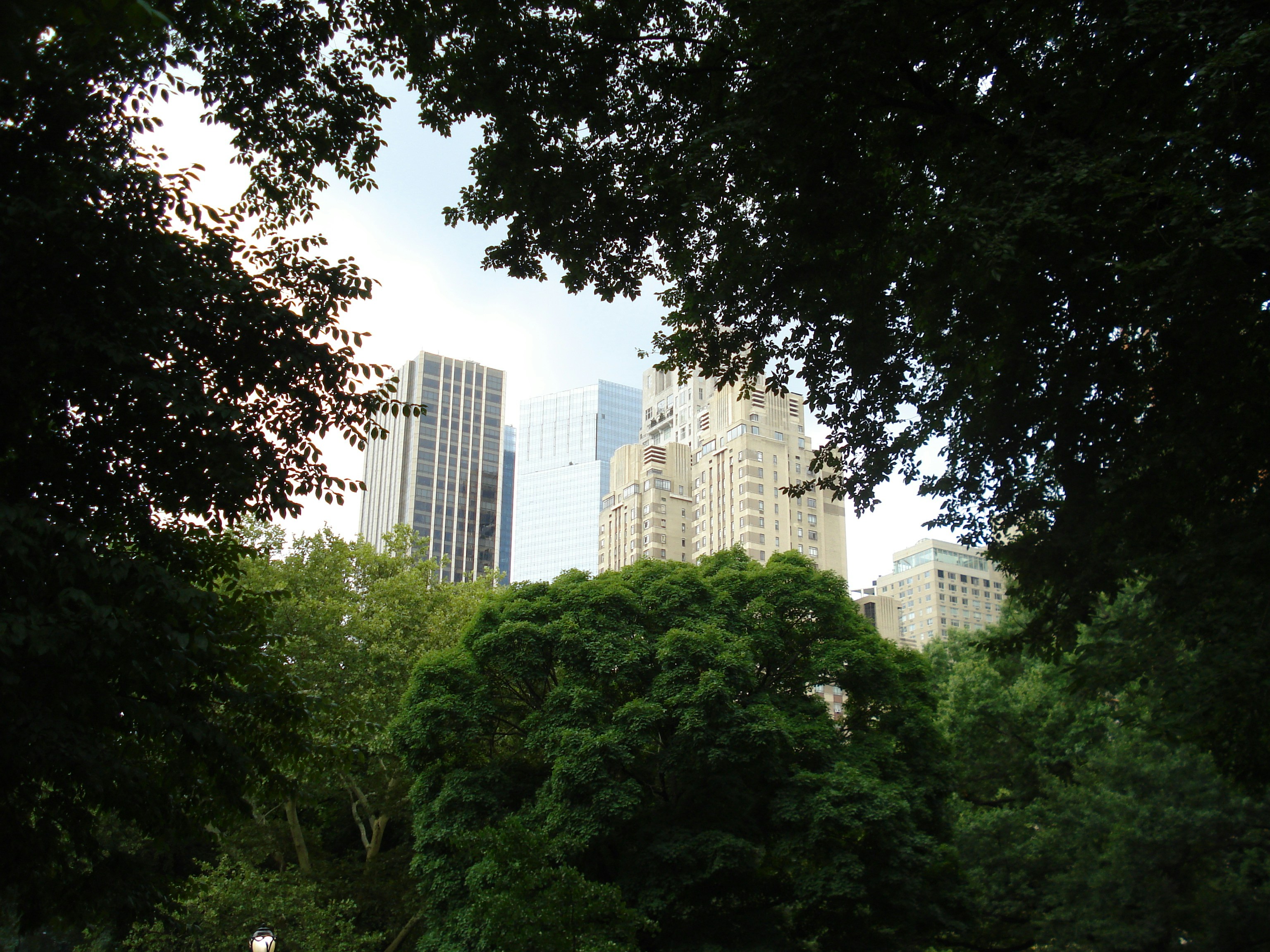 Urban Canopy: Skyscrapers Rising from a Green Embrace