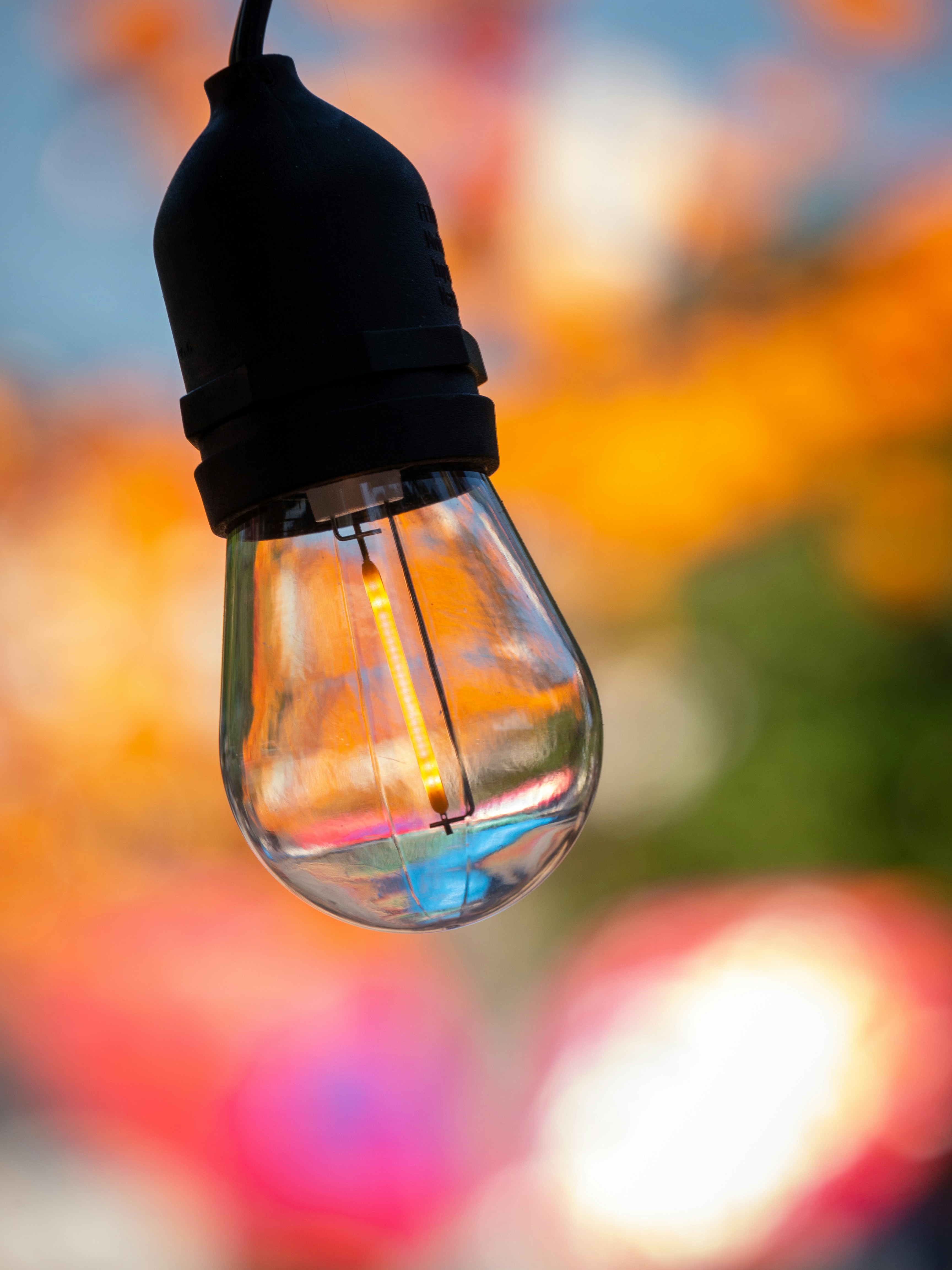 Glow of a solitary bulb against autumnal blur