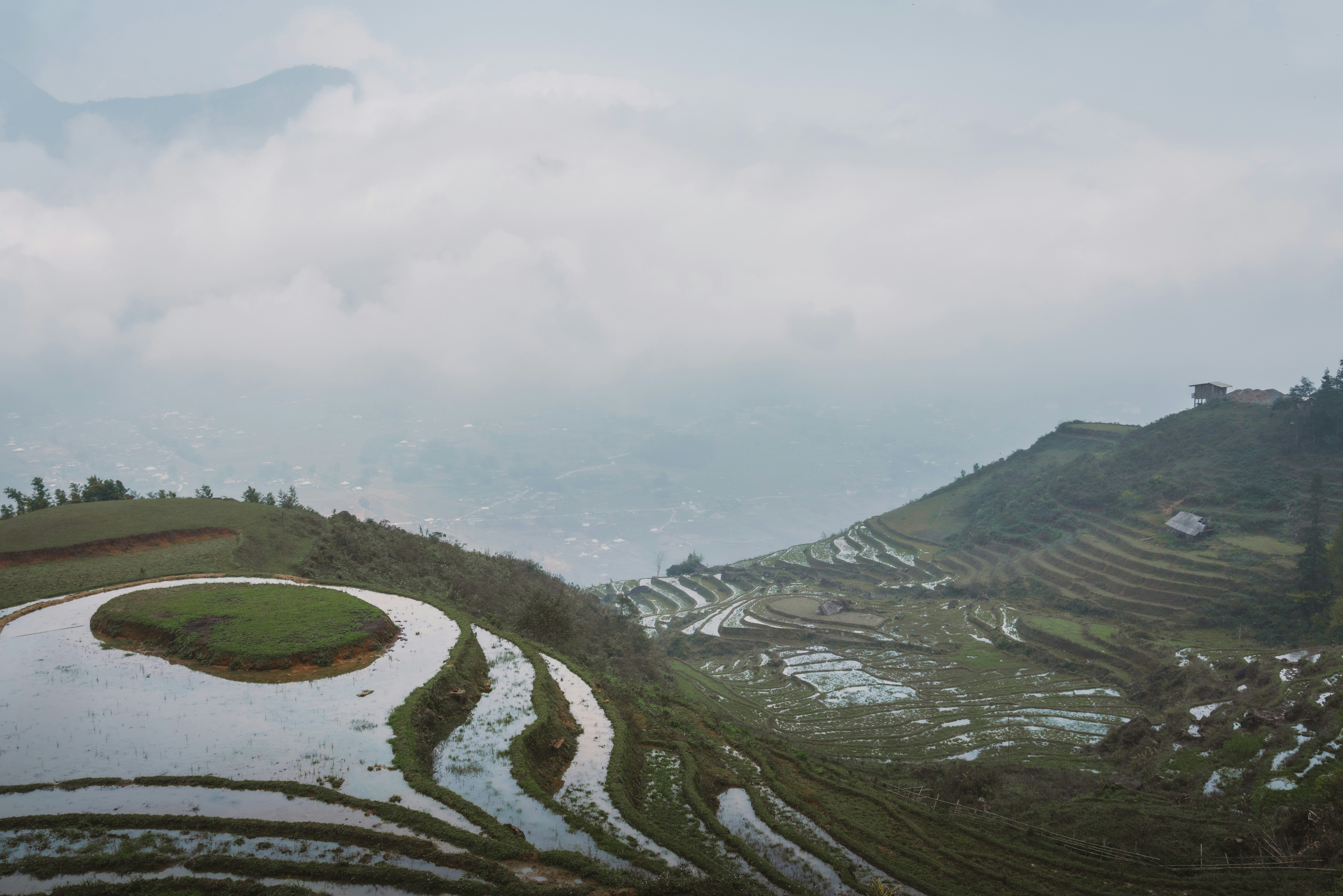 Misty Terraced Rice Fields Carved into Vietnam Hillside