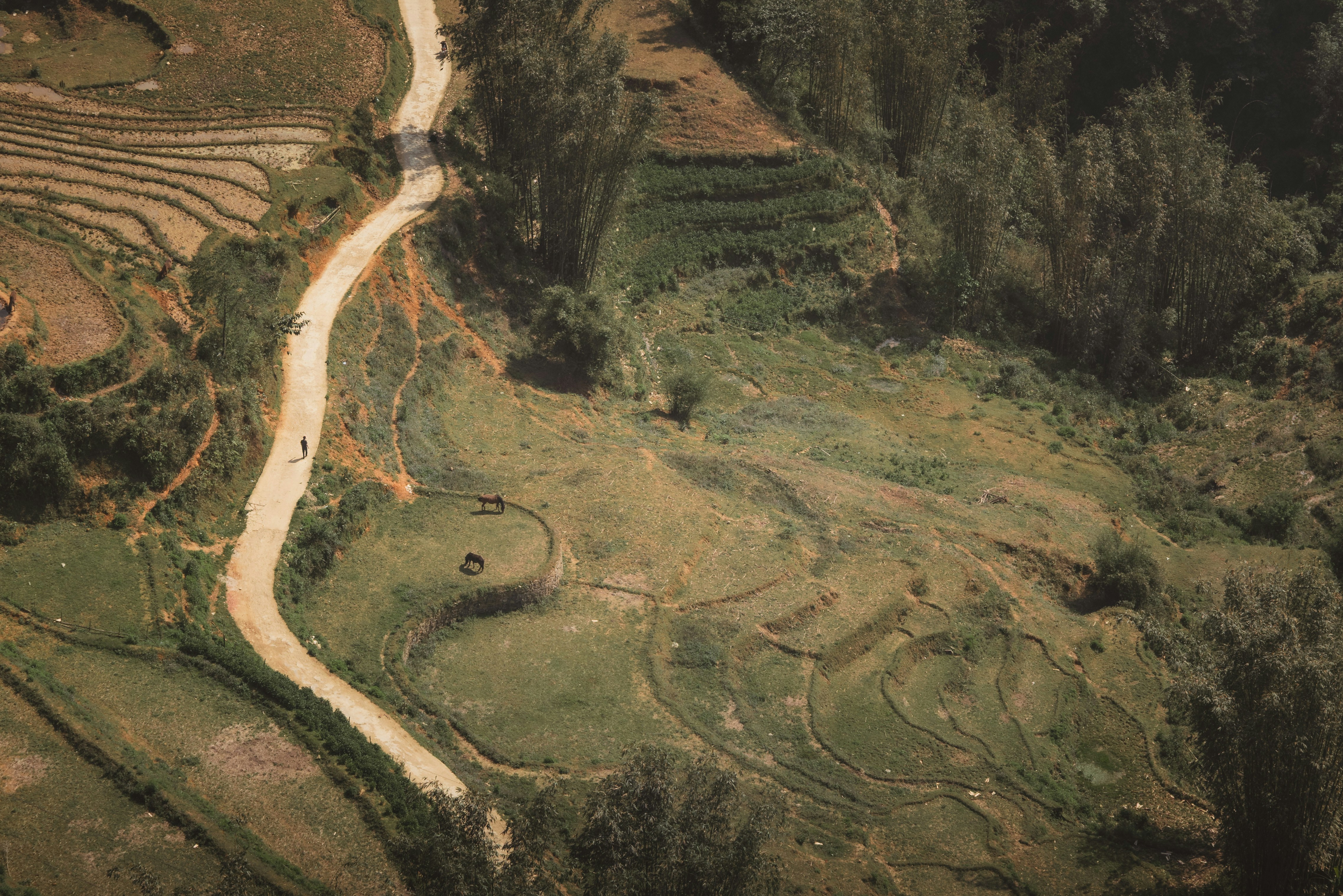 Terraced Valley Road Winding Through Quiet Earth Tones
