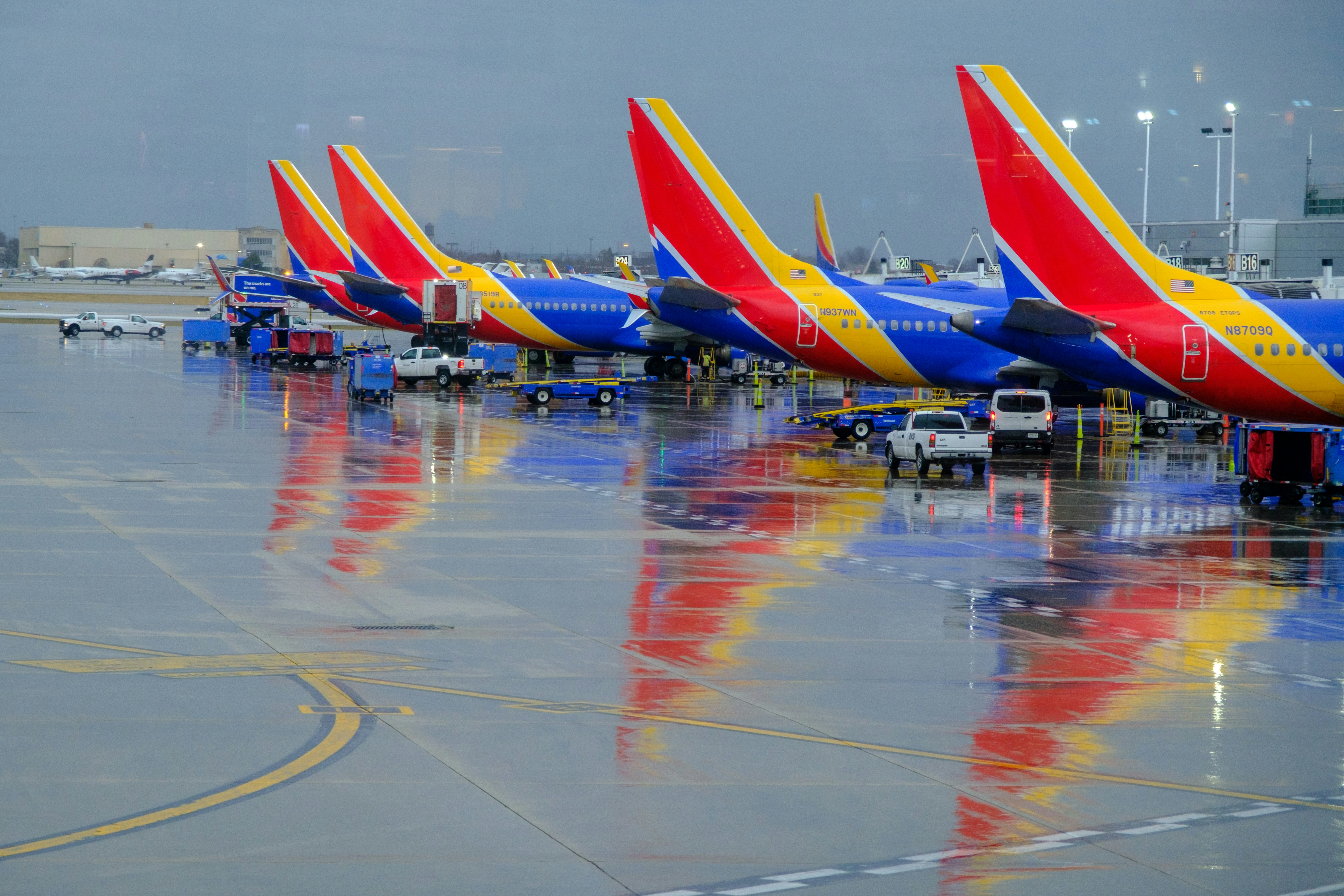 Row of colorful jets at a rain-slicked airport apron's edge
