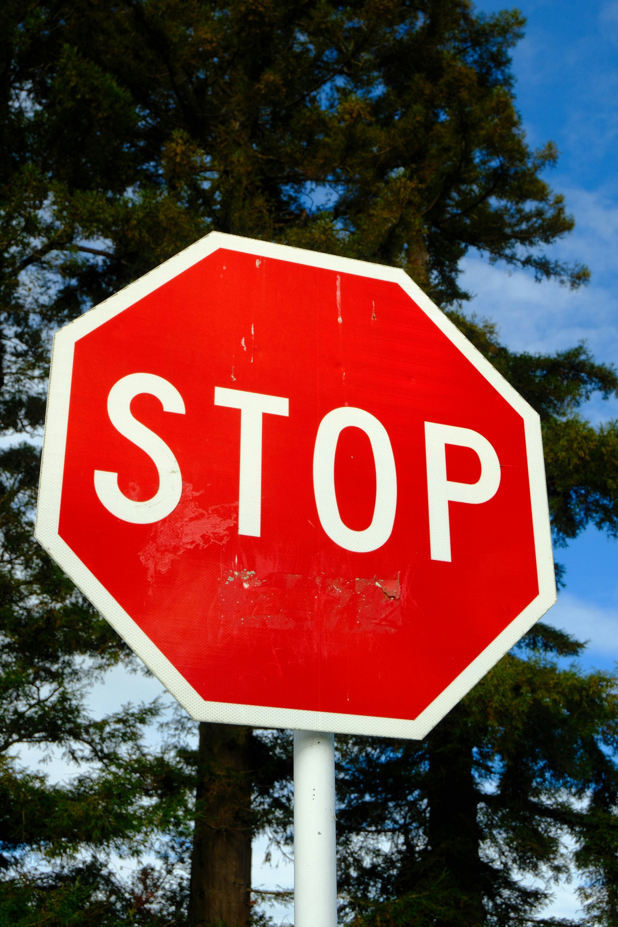 Red Octave: A Bold Stop Sign Against a Blue Sky