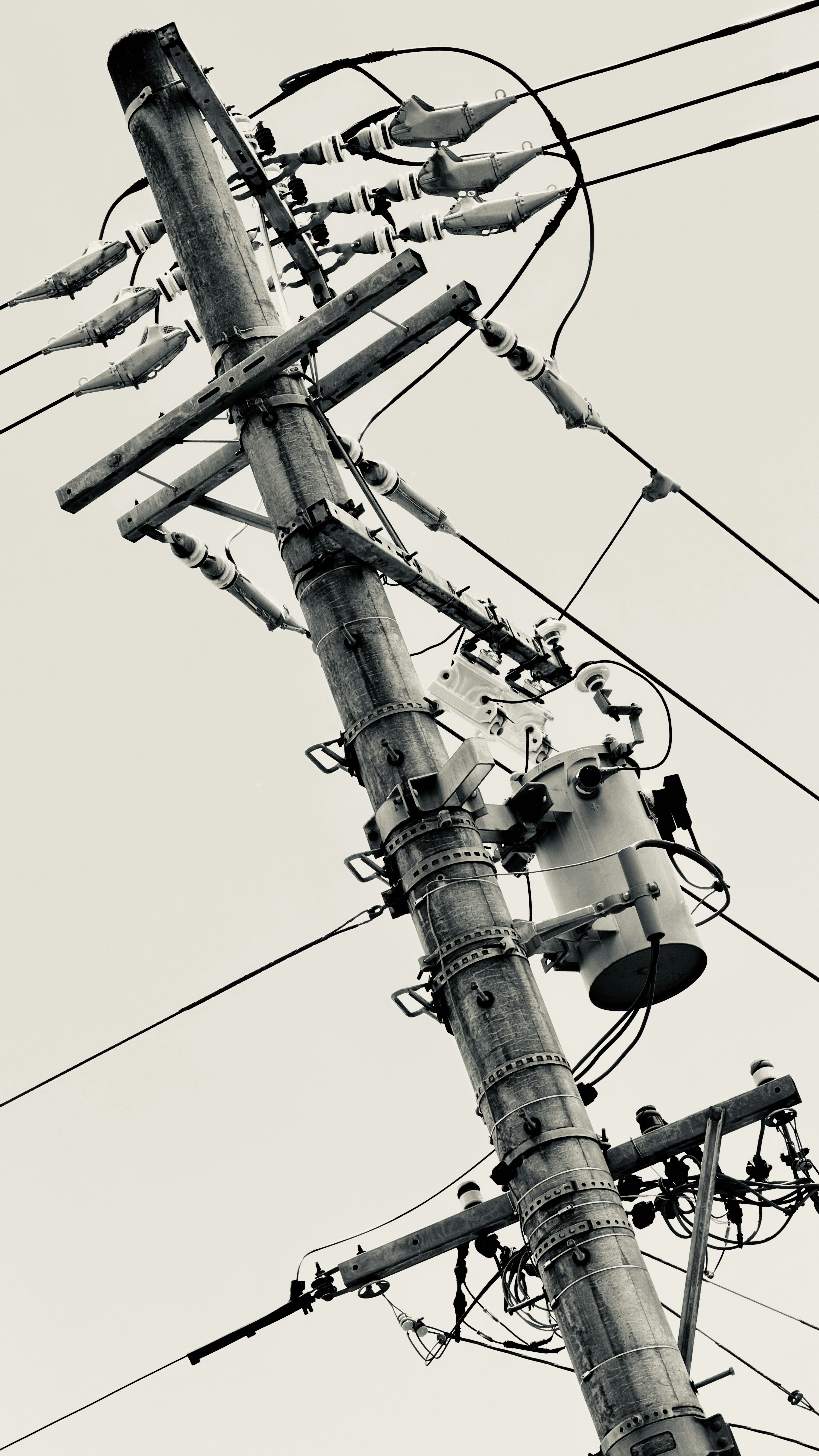 Vertical Network: An Up-Close Look at a Power Pole