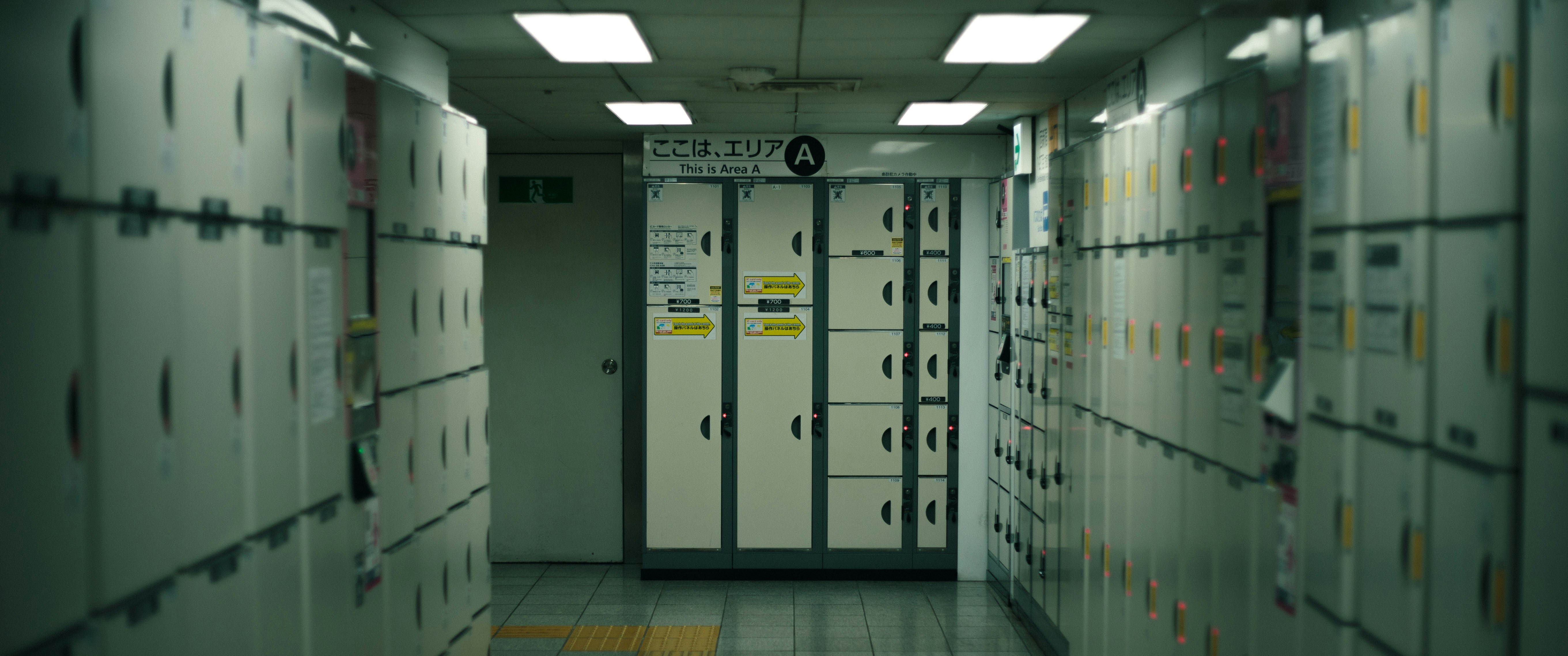 Midnight Corridor: Echoes of a Locked Ward