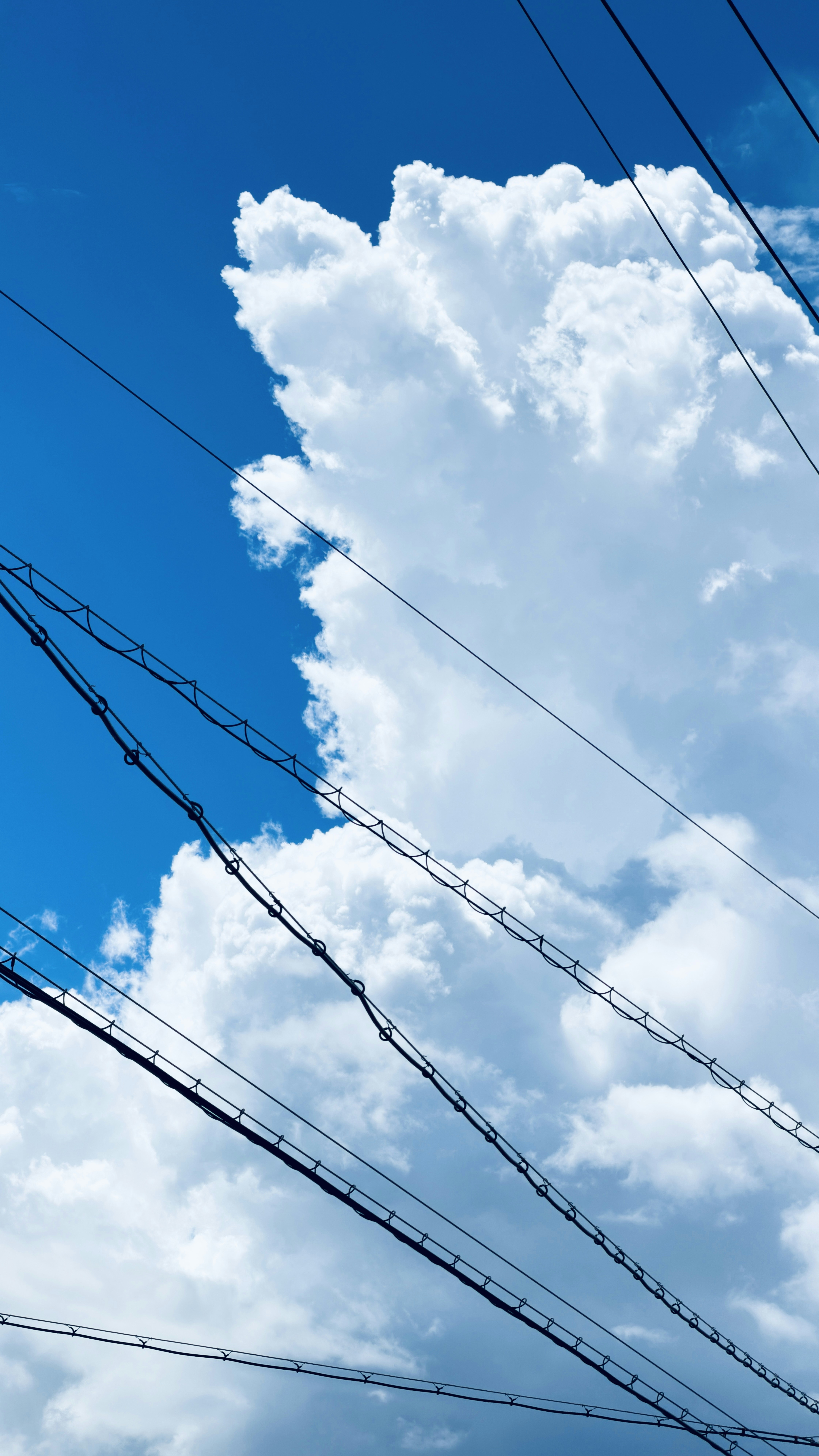 Cloud-Threaded Sky: Lines of Silence Across a Blue Stage