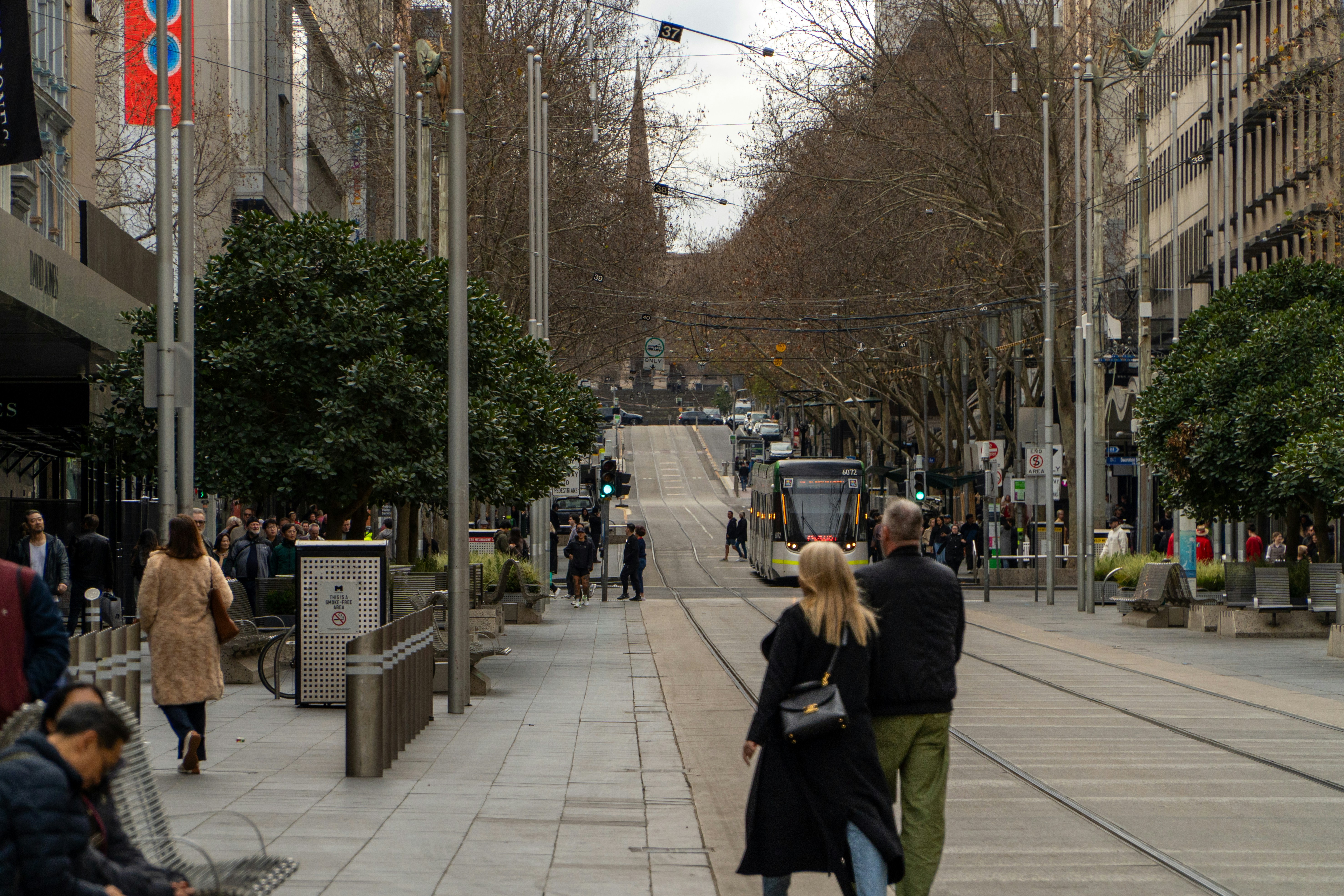 Pedestrian Avenue Toward the Distant Horizon