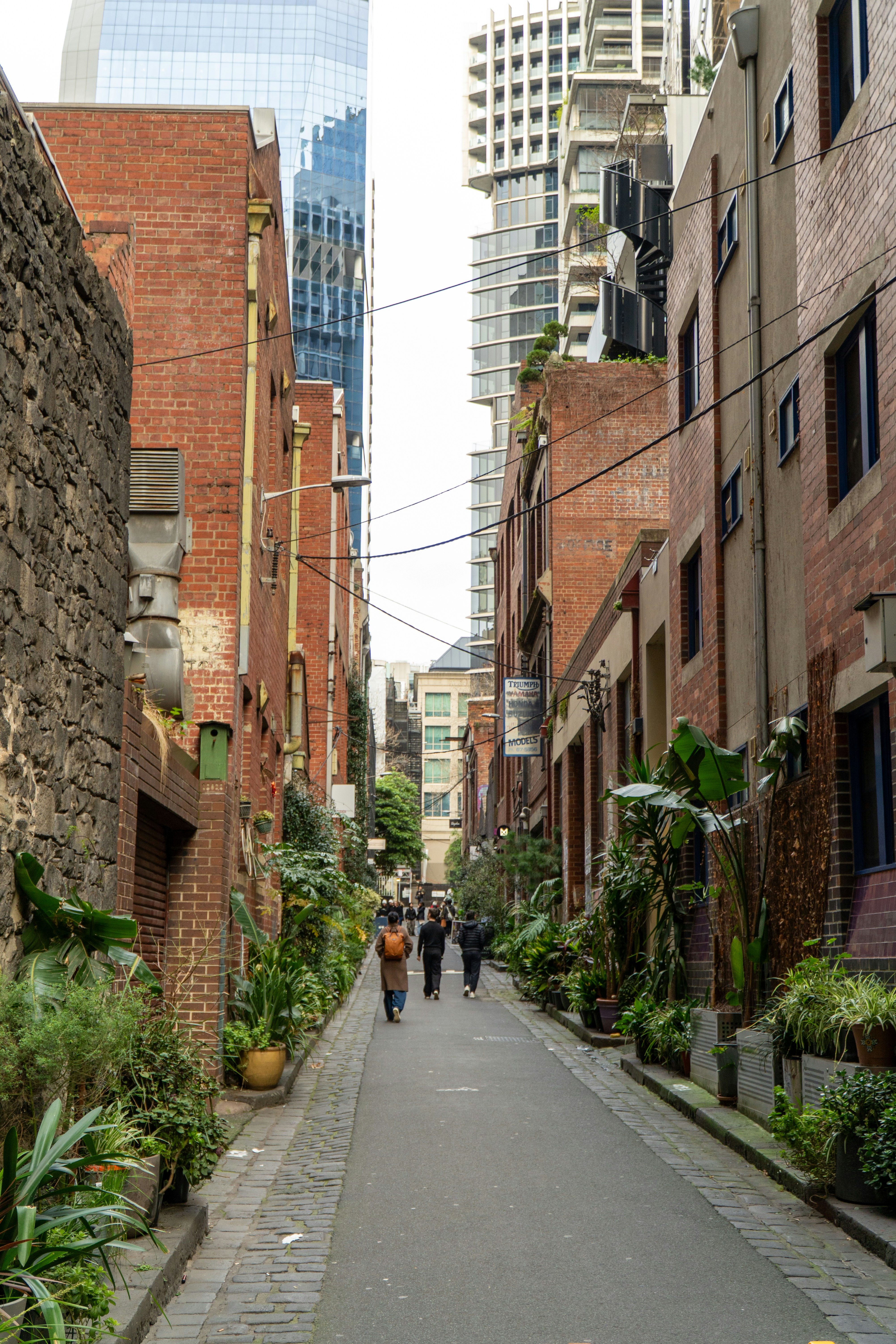 Urban Alleyway Ascent: People Hike Between Brick Giants Toward Skyward Glass