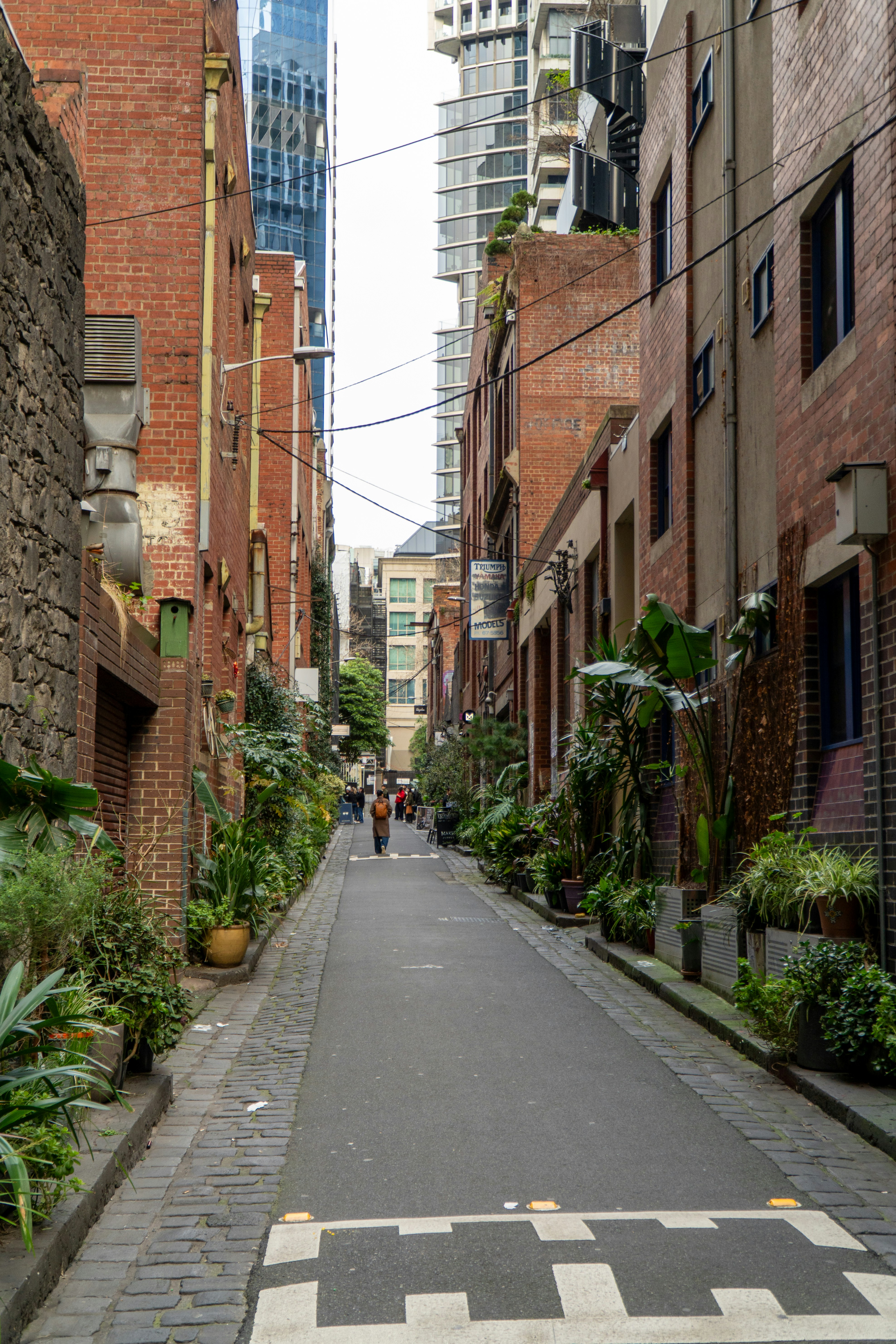 Urban Alleyway in Bloom: A Quiet Path Through Brick and Greenery
