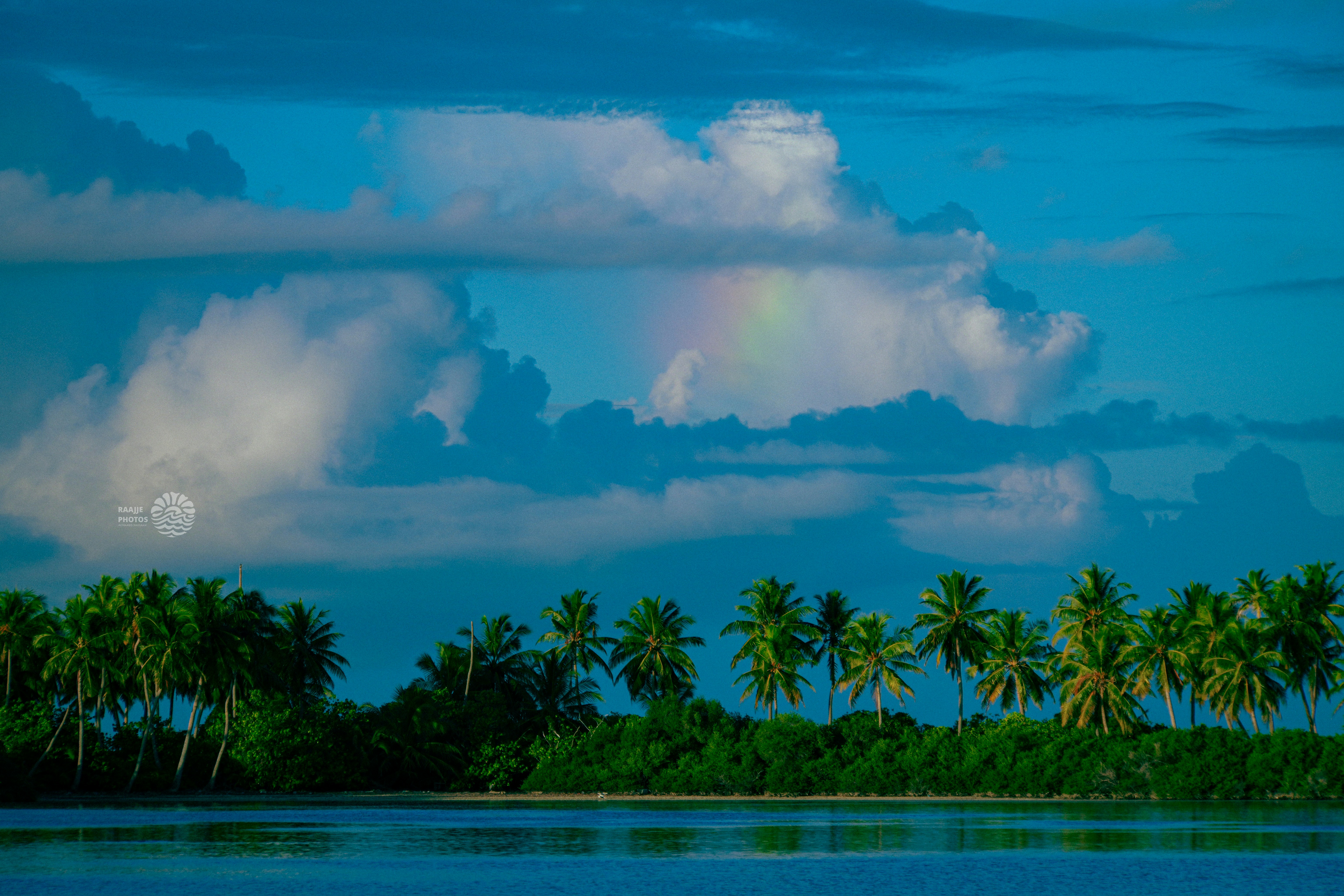 Lush palm trees line a tranquil shoreline beneath a blue sky with wispy clouds and a faint rainbow.