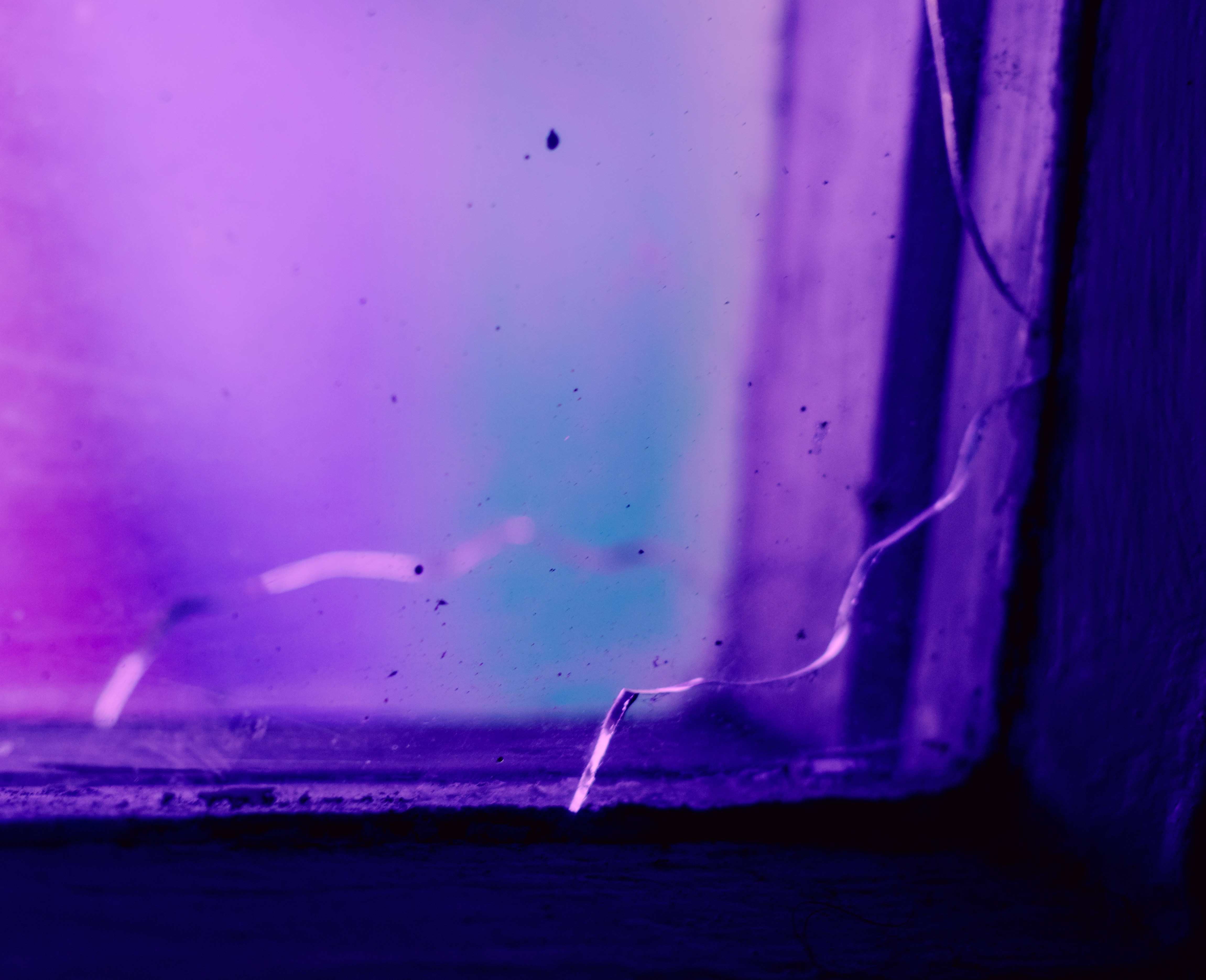 Neon Window: A Quiet Violet Glimpse Through Glass
