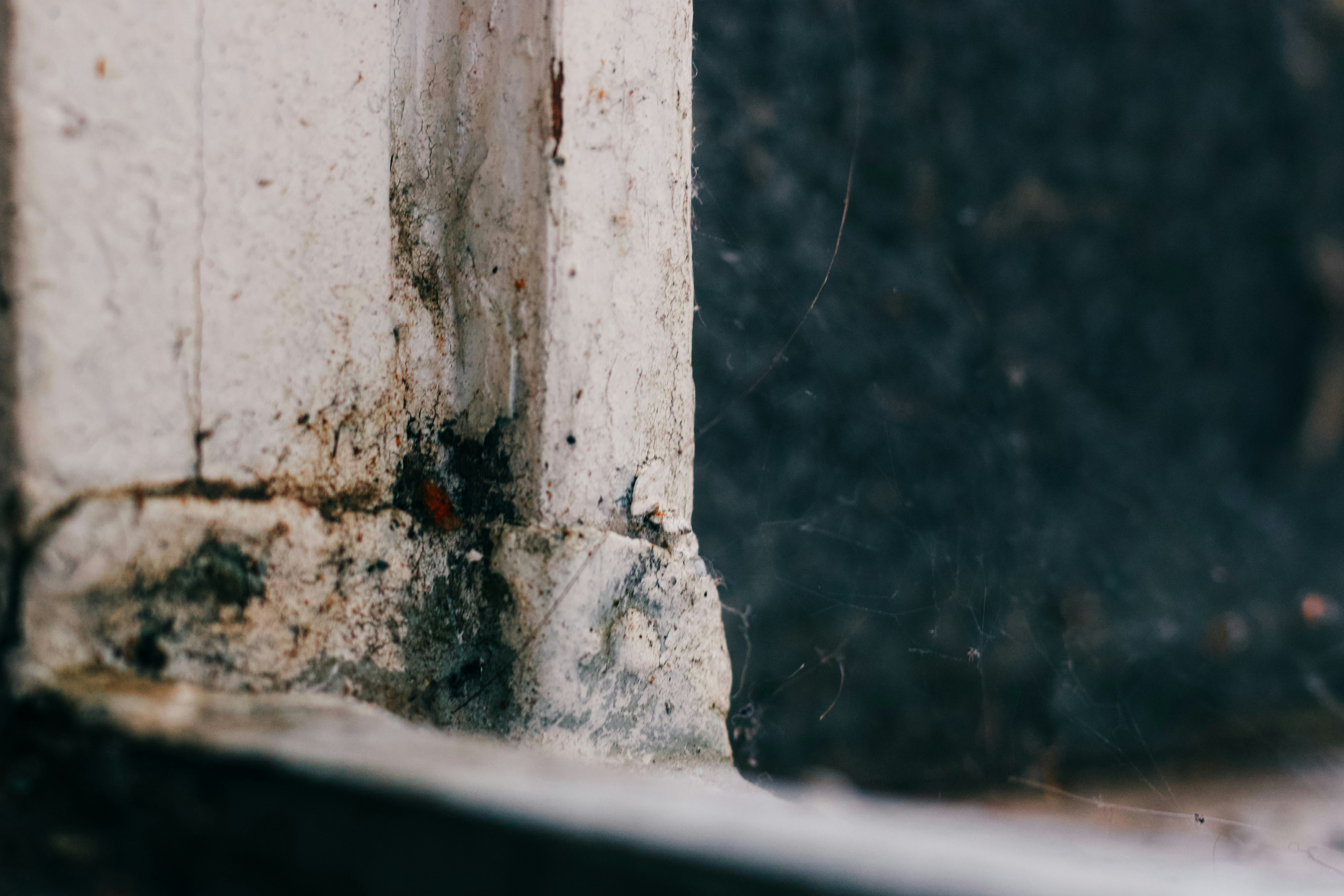 Close-up of a chipped stone column edge with worn, mossy texture against a dark background and a stray strand of cobwebs. A quiet, tactile still life emphasizing weathered concrete and crevices.