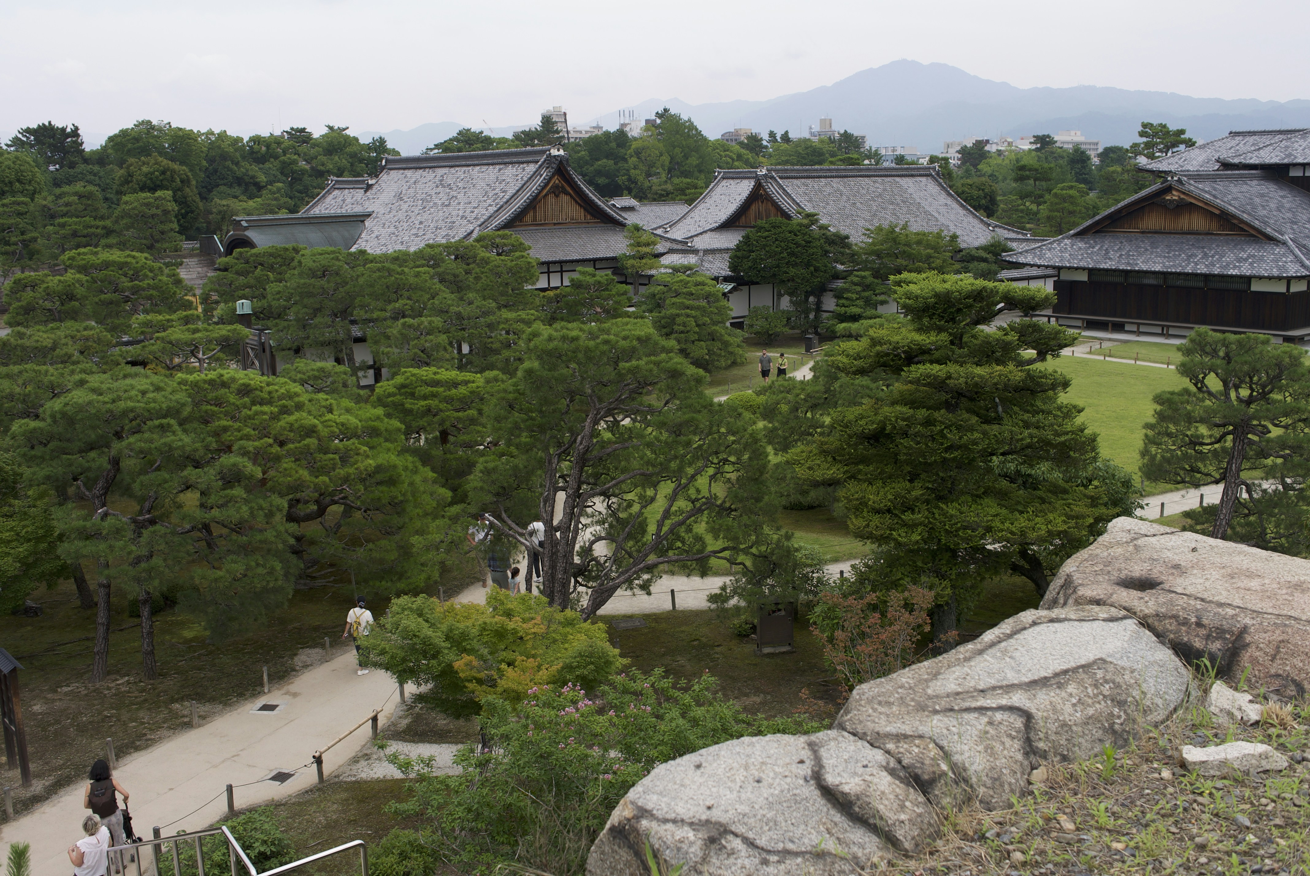 Tranquil Temple Grounds Framed by Whispering Pines