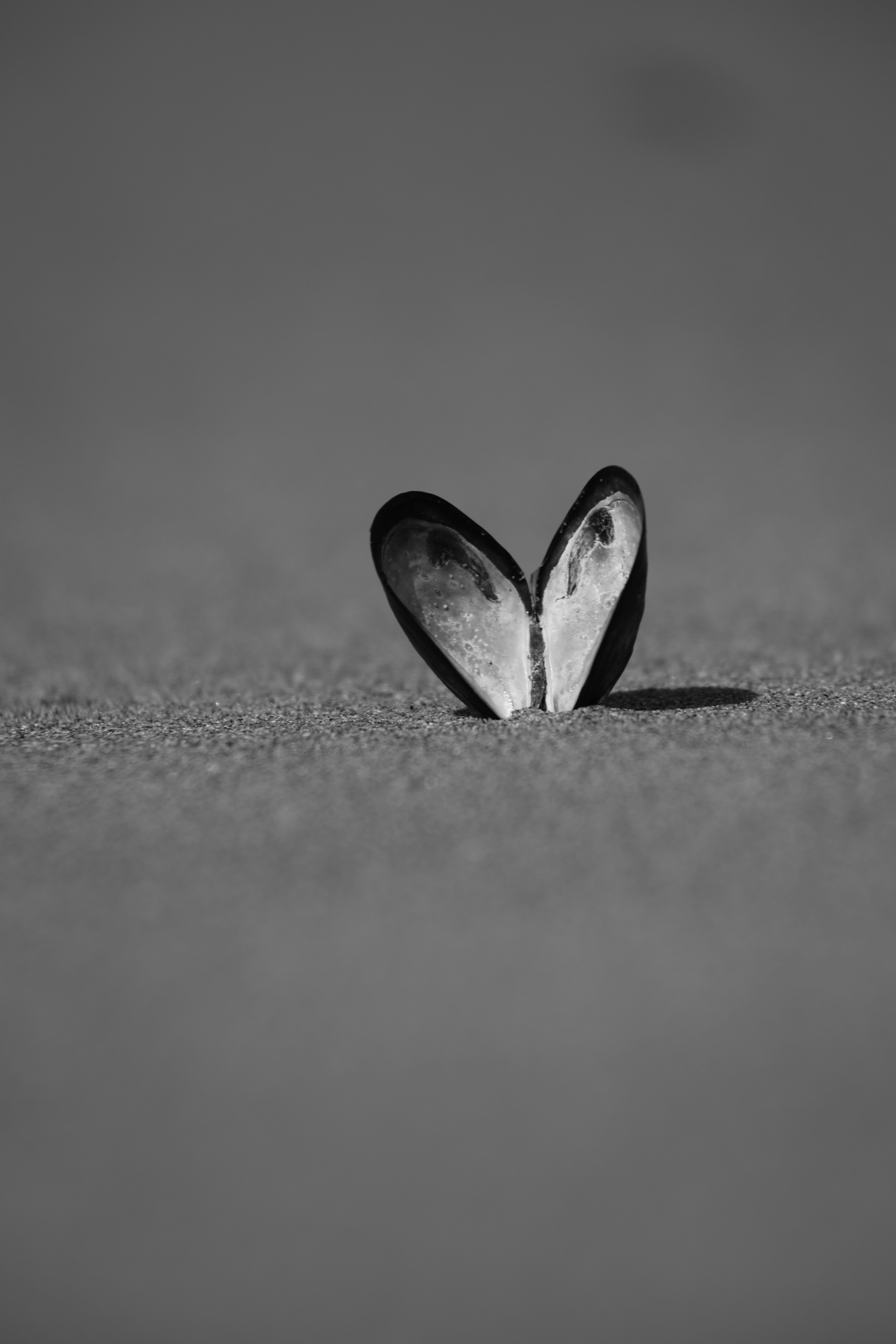 Two Hearts in the Sand: A Quiet Piercing Moment
