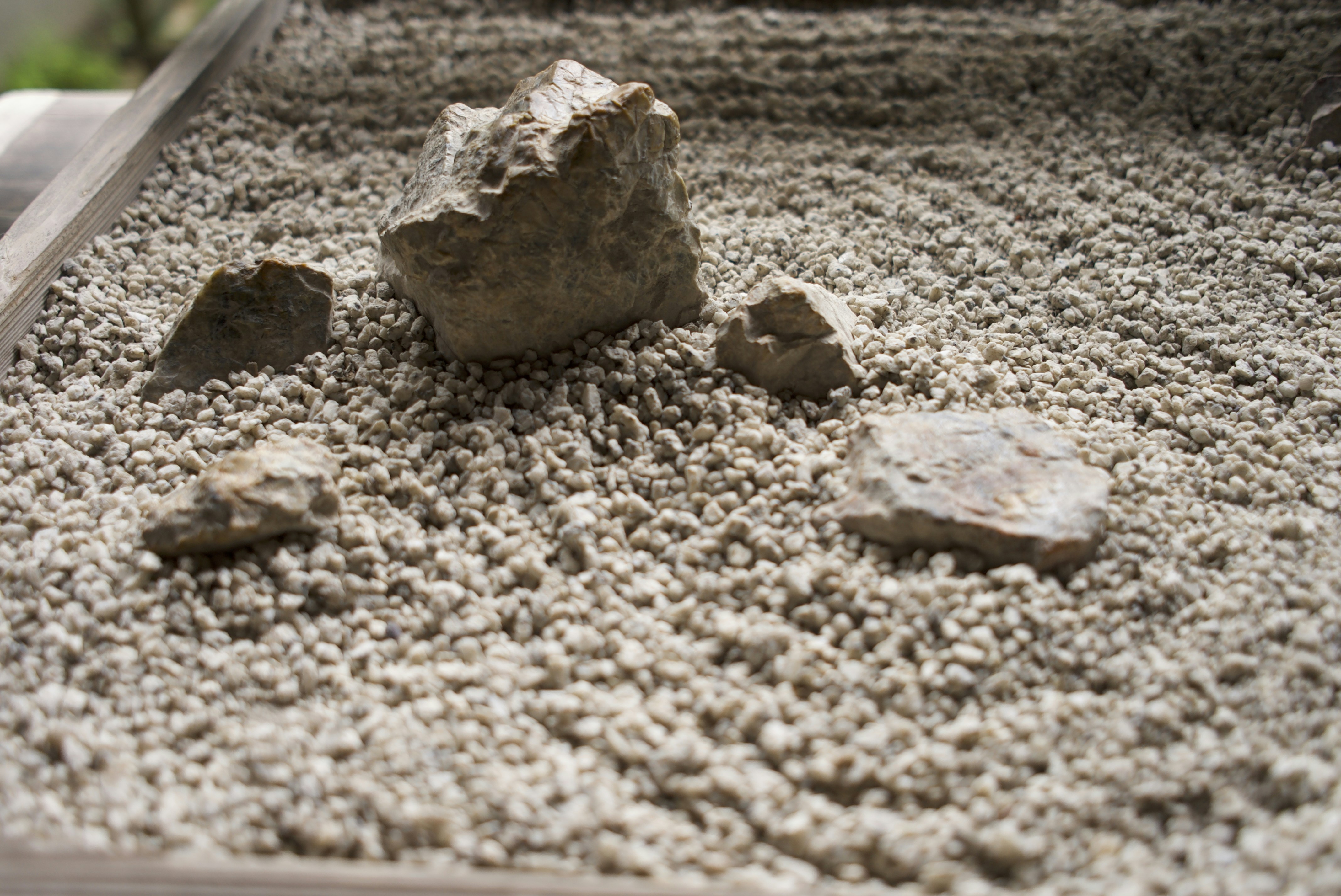 Pebbles in a Miniature Rock Garden: Focused Calm Amid Textured Gravel