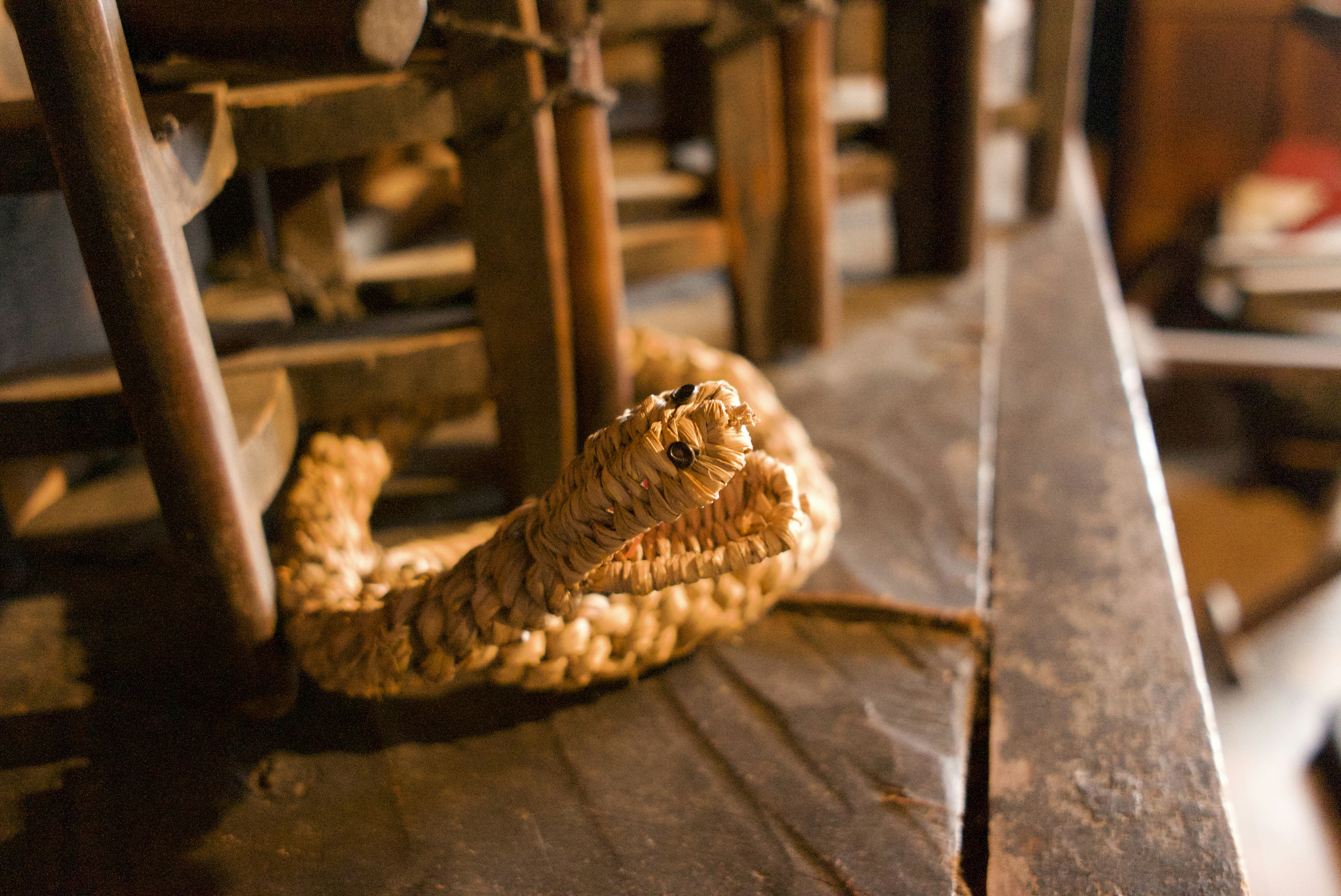 Coiled Rope on a Weathered Surface under Soft Ambient Light