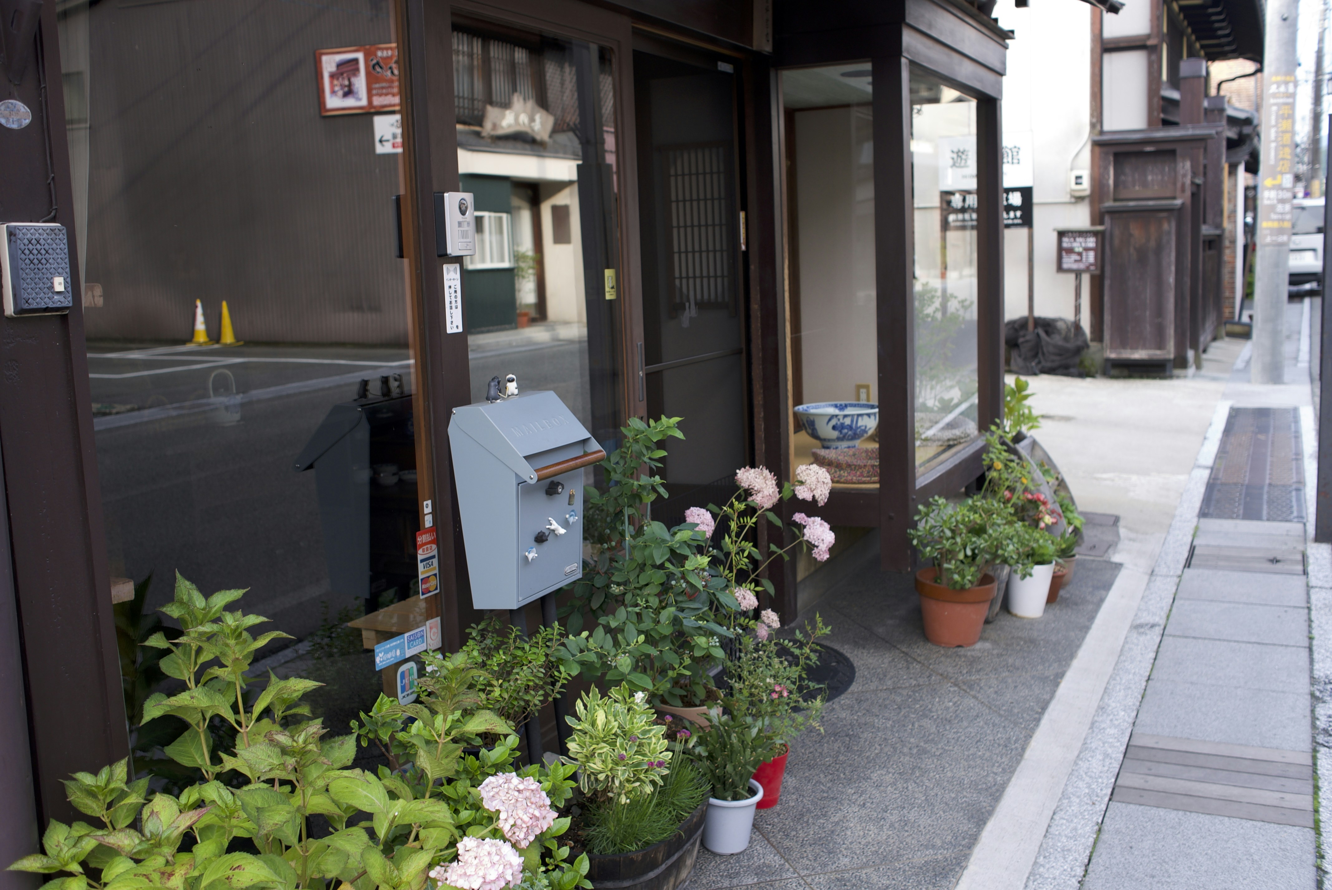 Urban Facade in Bloom: A Quiet Street Corner