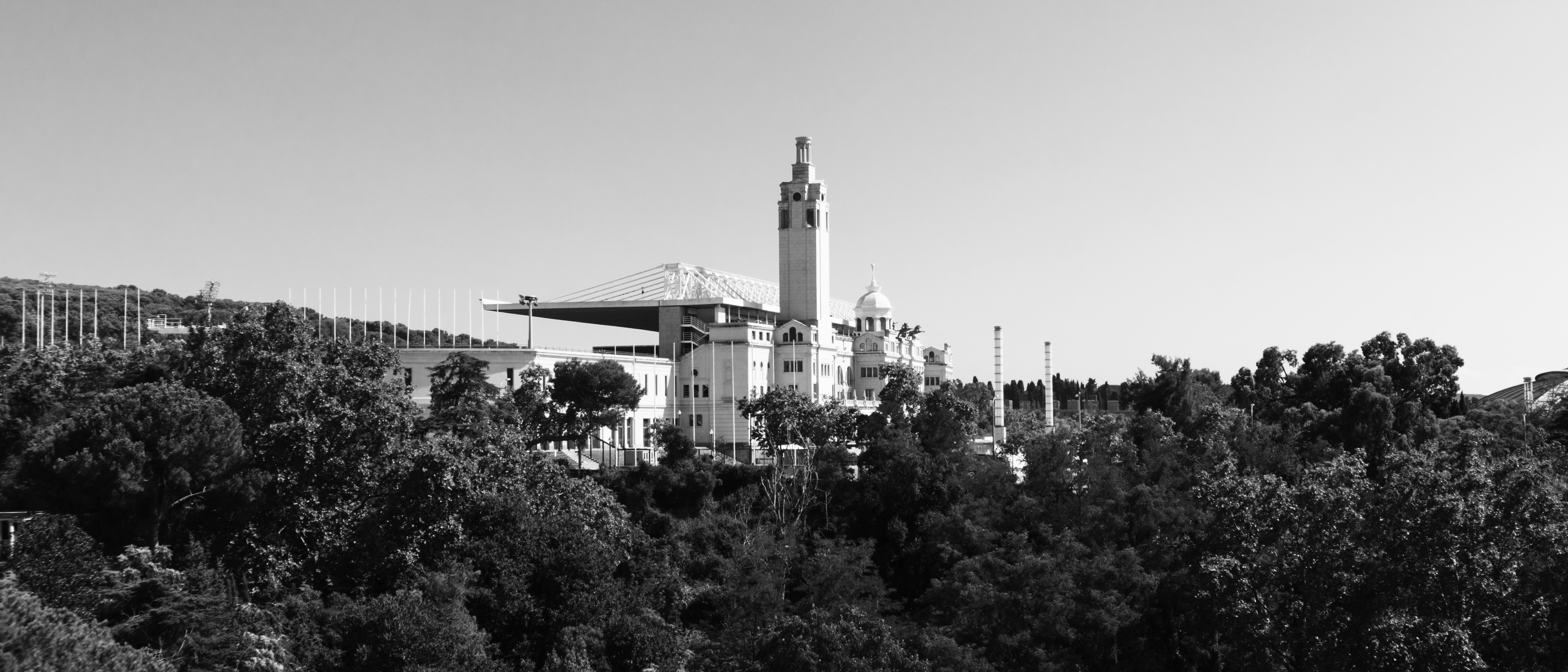 City Crowned by a Clocktower: Arc of Hills and Trees