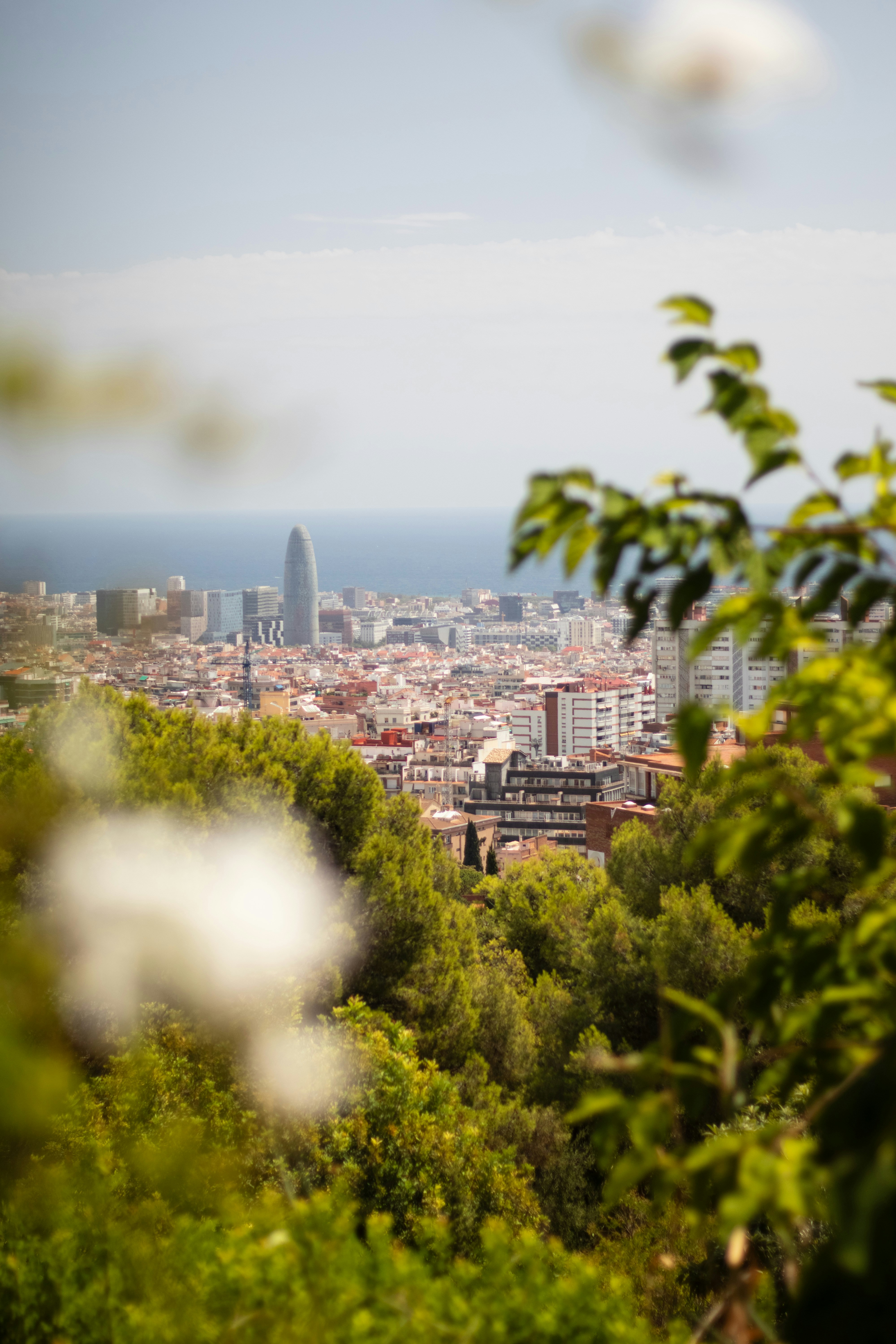 Cityscape Emerges Through Framing Foliage