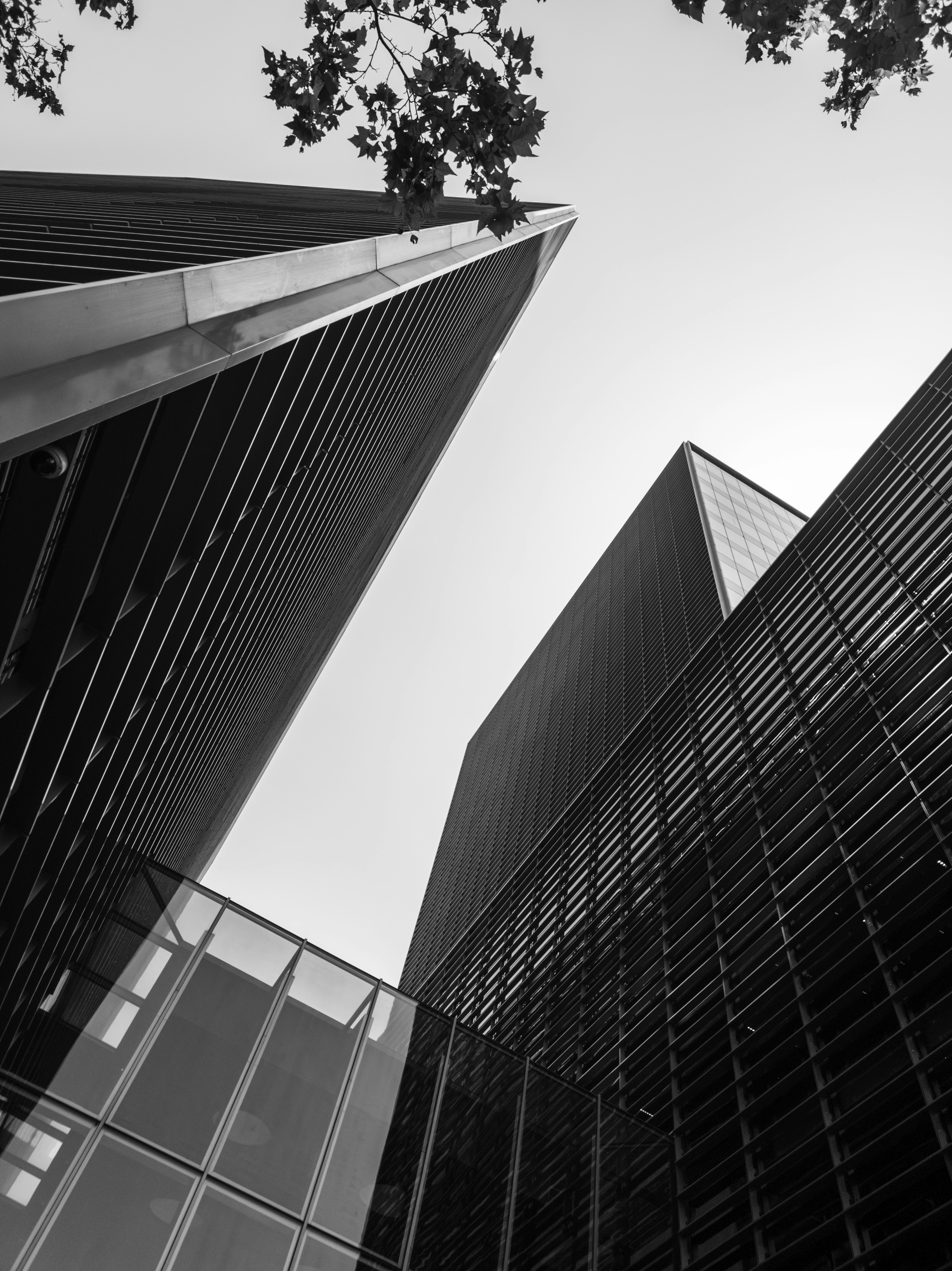Monumental Angles: A Stark Black-and-White Convergence of Skyscrapers