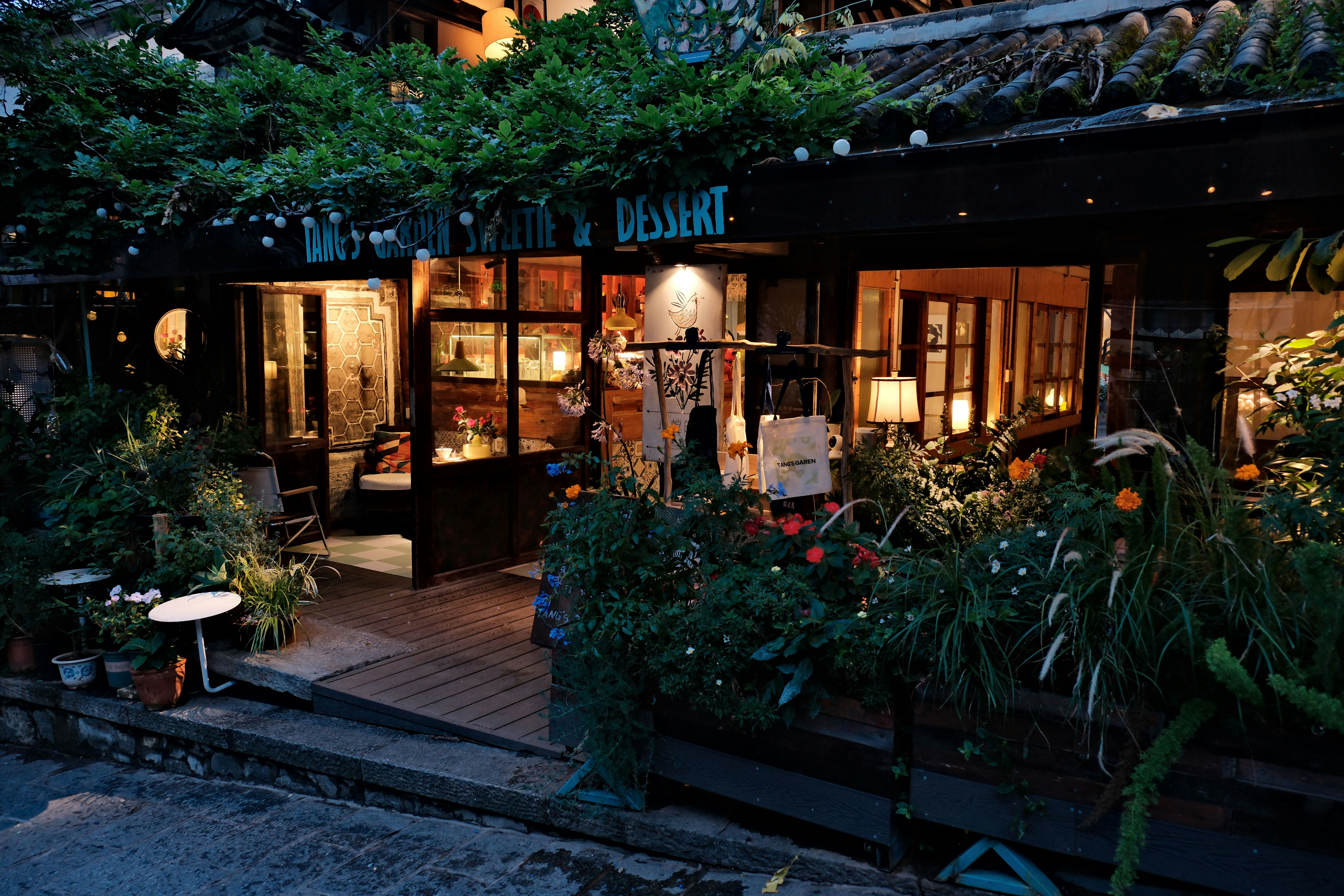 Evening Lanterns at a Verdant Café