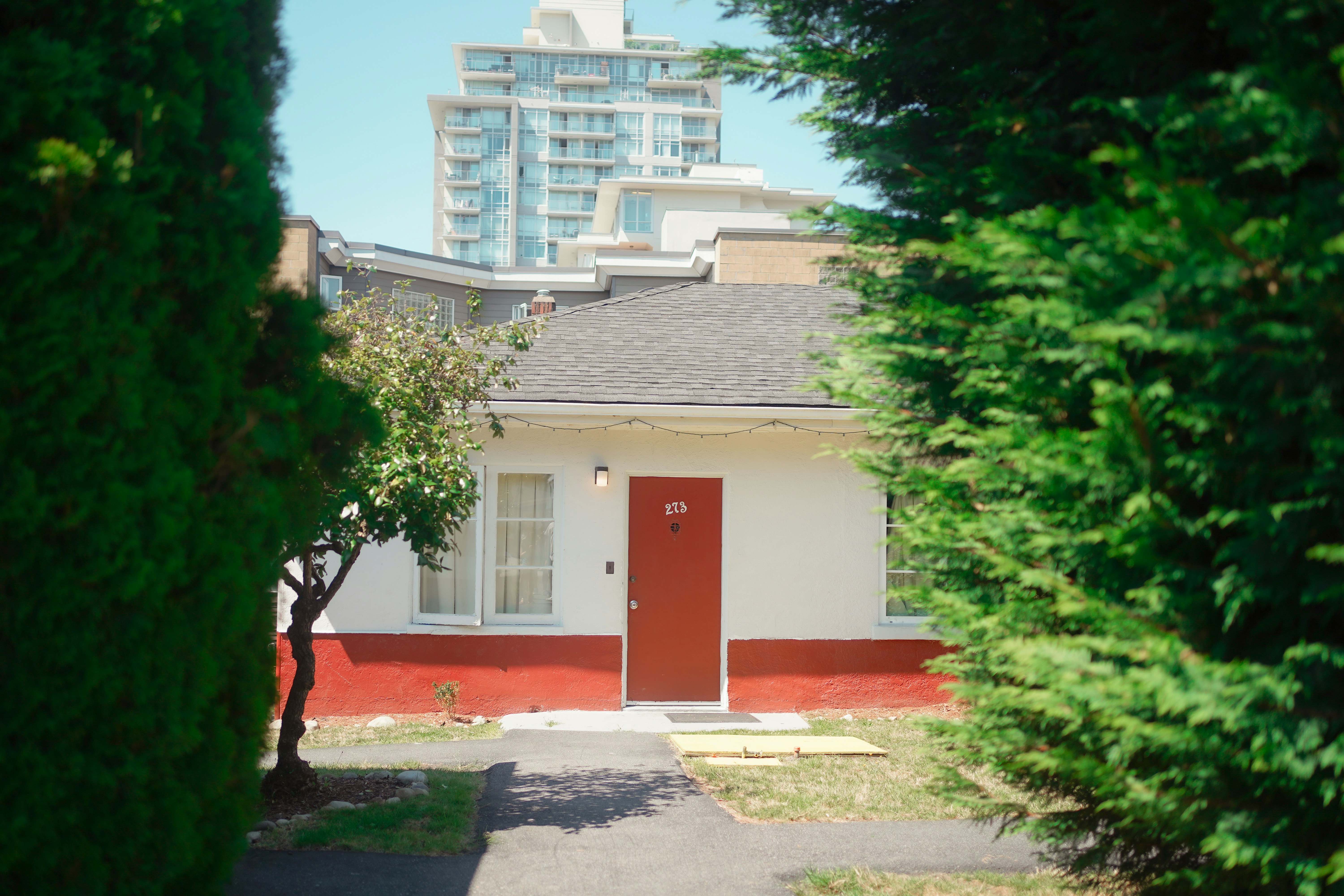 Hidden Oasis: A Quiet Doorway Framed by Greenery