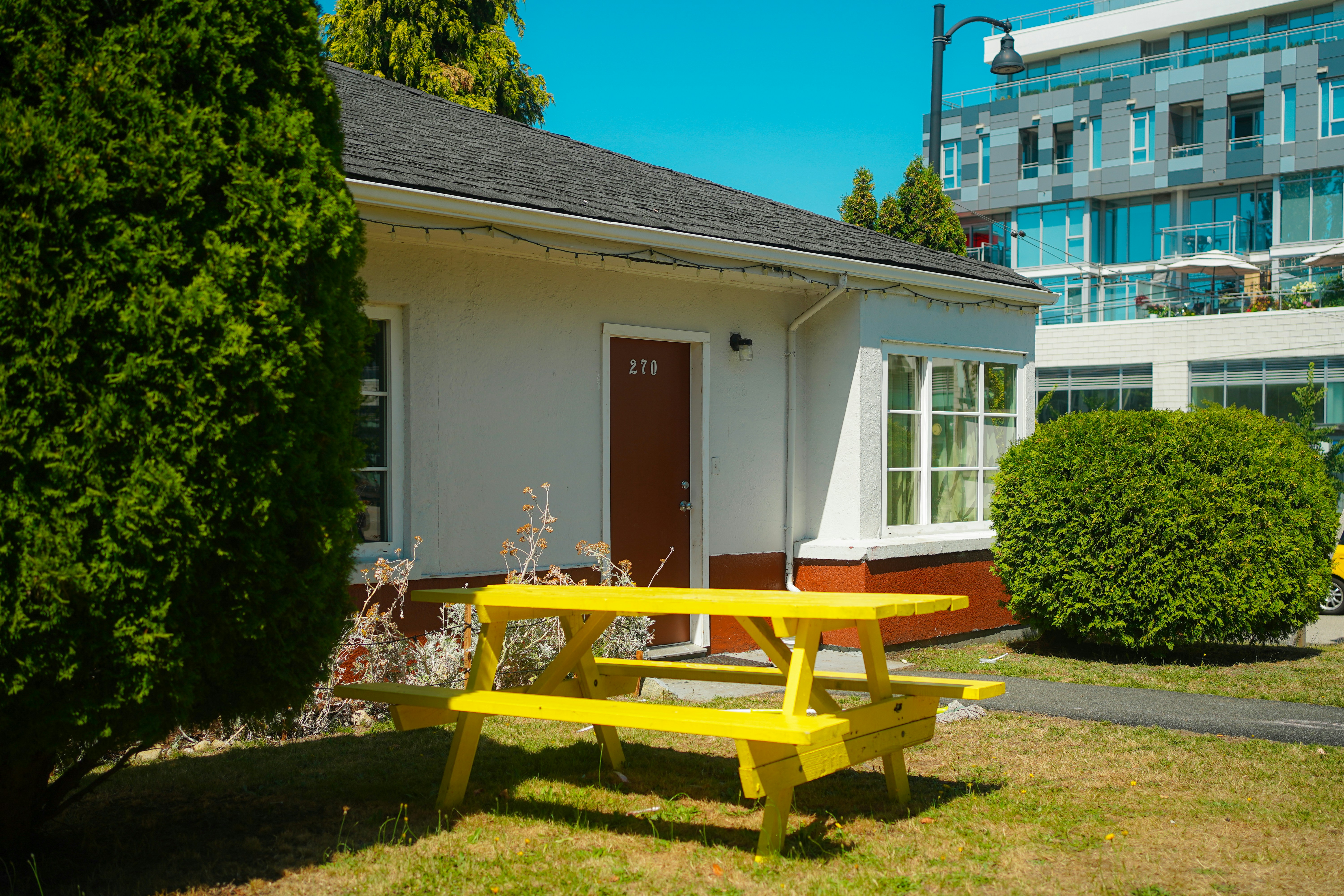 Sunny yard retreat with a bright yellow picnic table beside a small white building