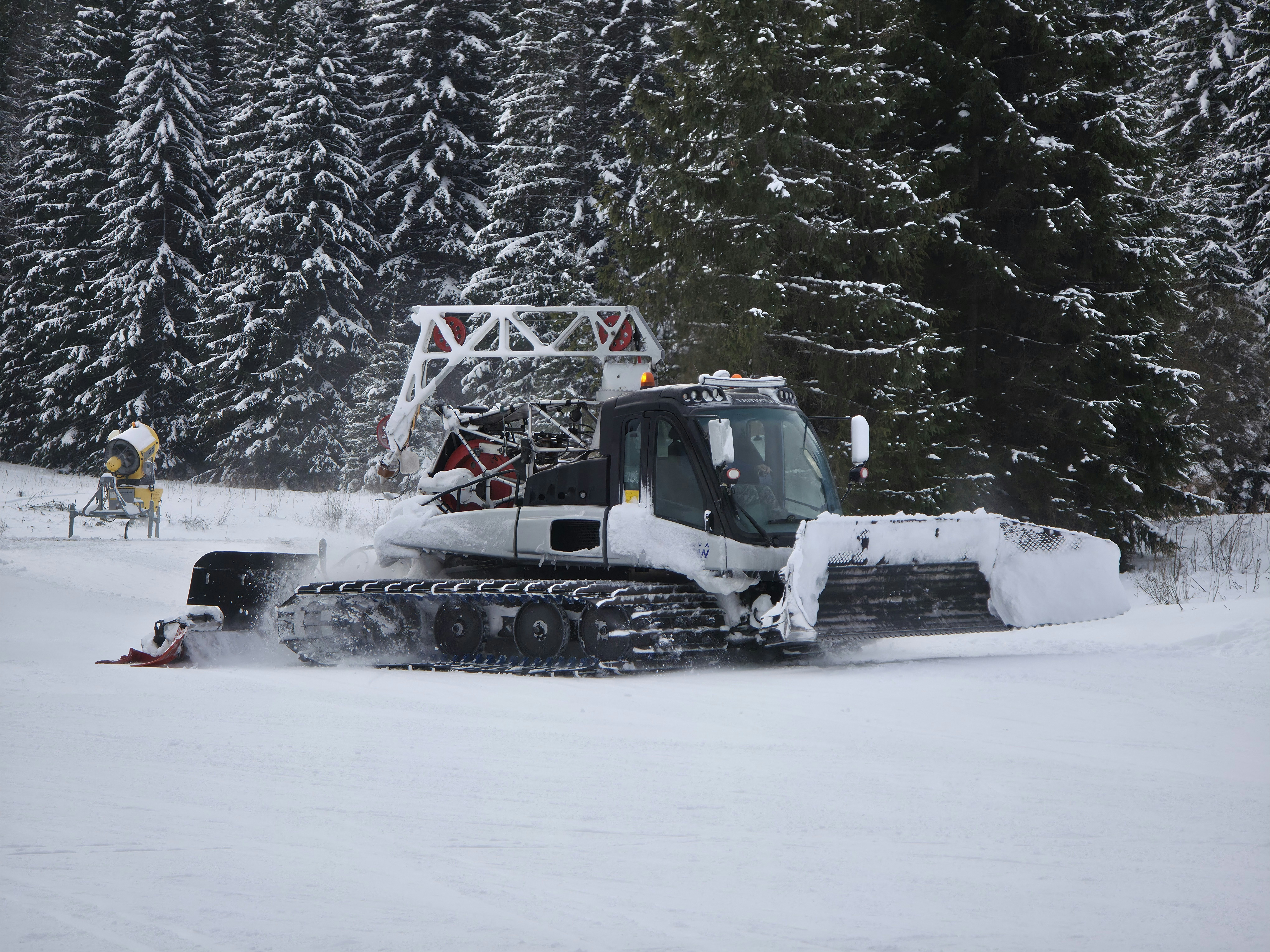 Snowbound Machinery: A Snowcat Steers Through Quiet Pines