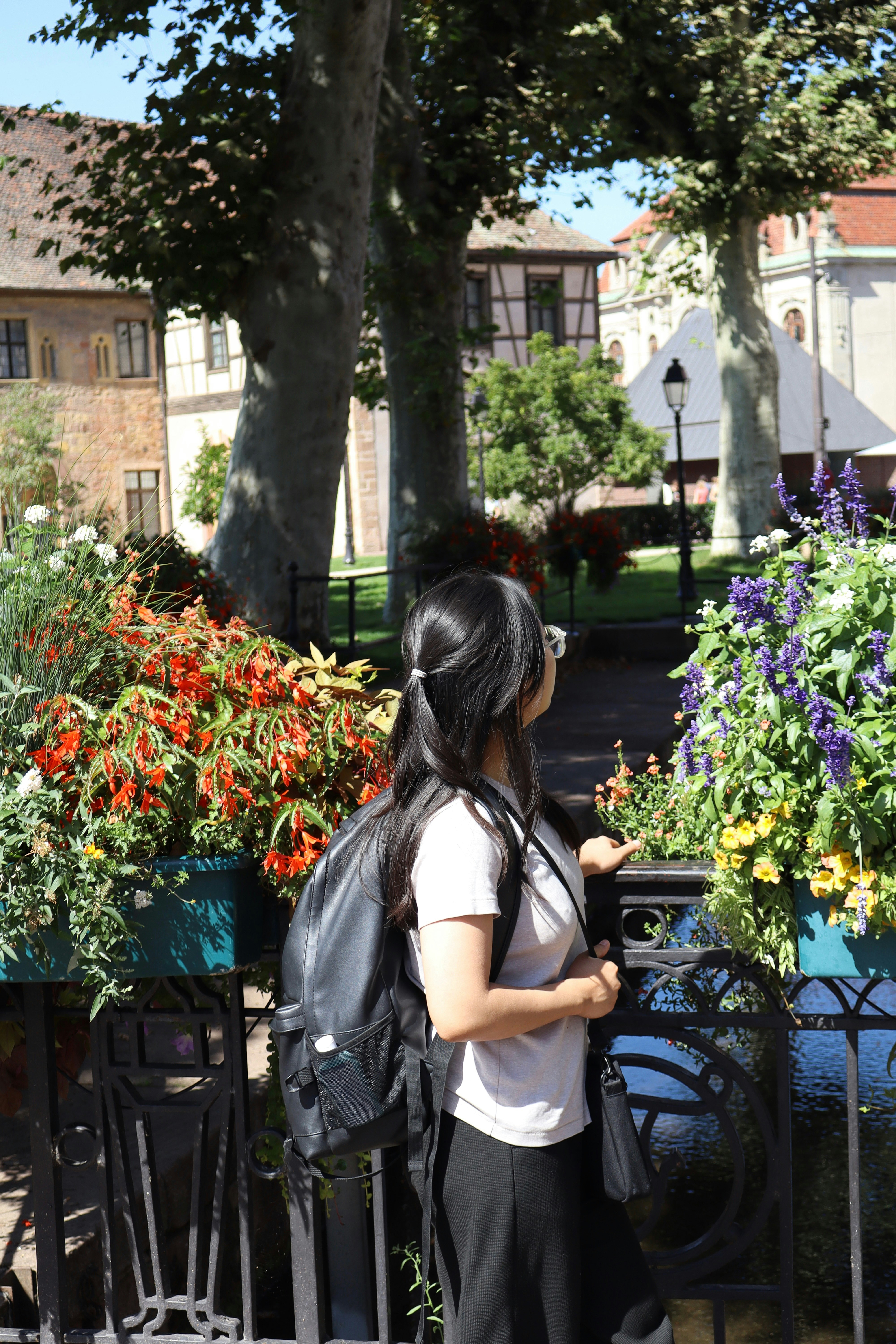 Traveler in a Floral Corridor