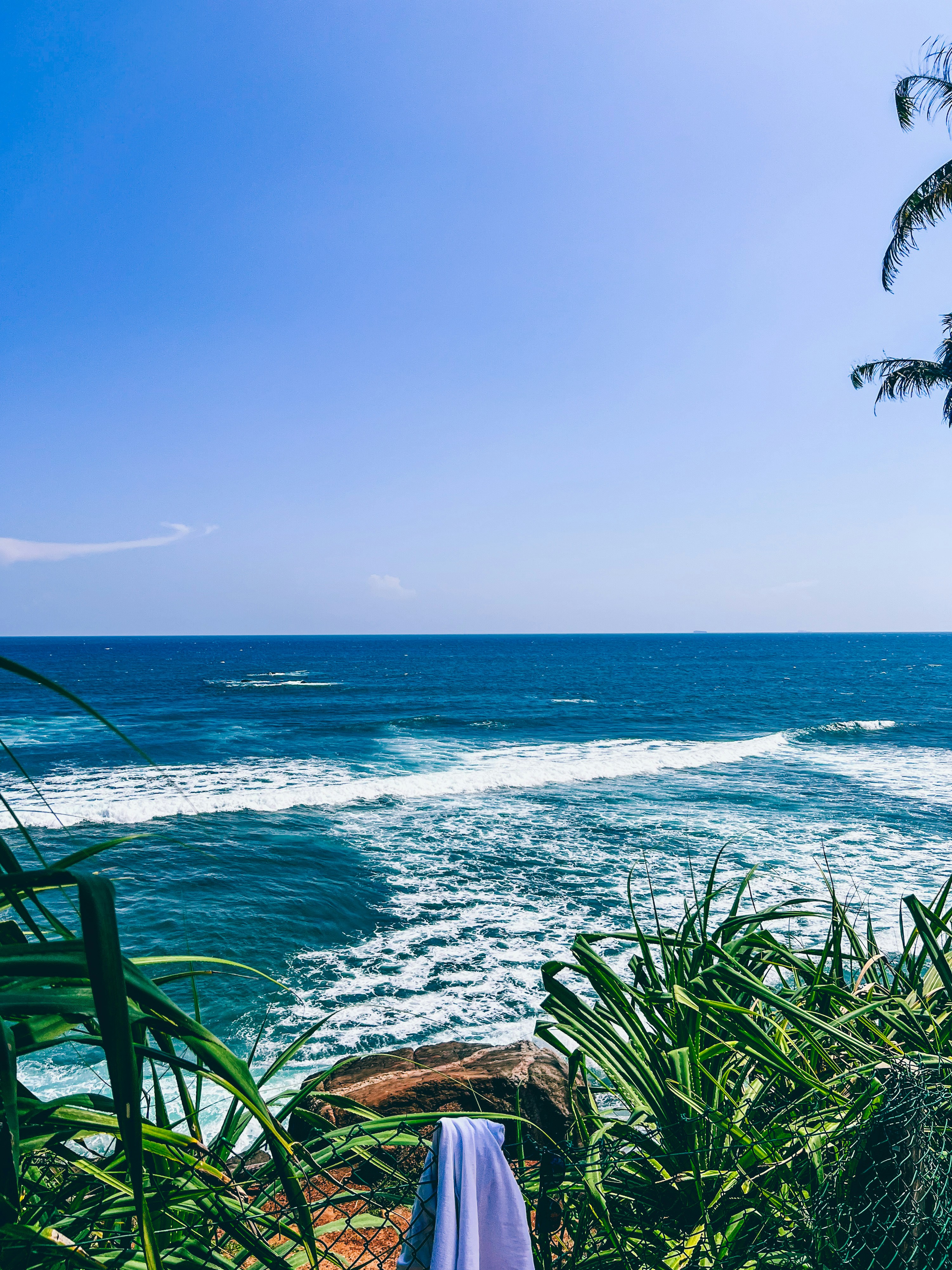 Vibrant coastal scene showing the blue ocean meeting the horizon, with waves crashing along a rocky foreground and tropical plants framing the view.