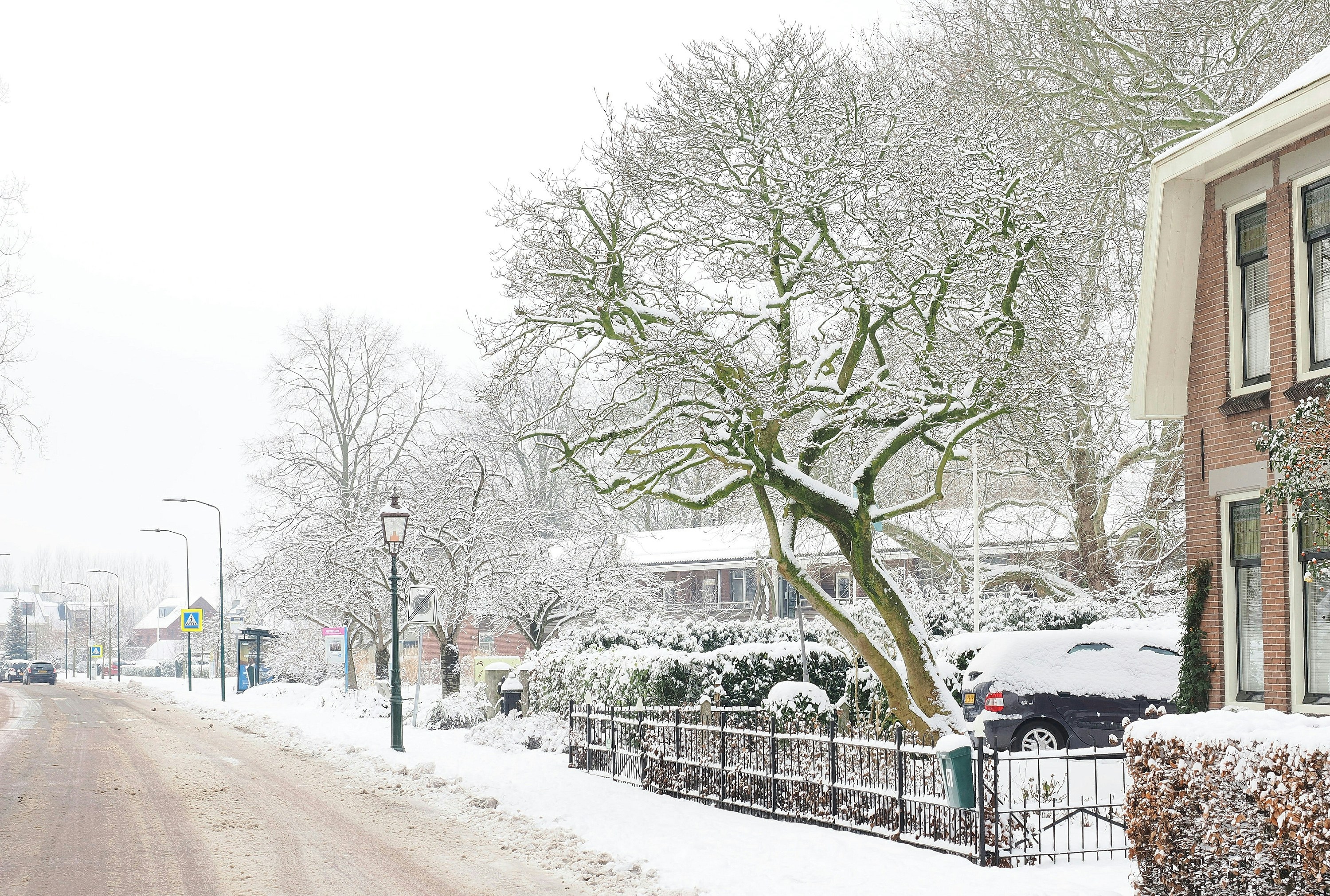 Snow-kissed Street Scene Framed by Bare Trees and a Quiet Fence