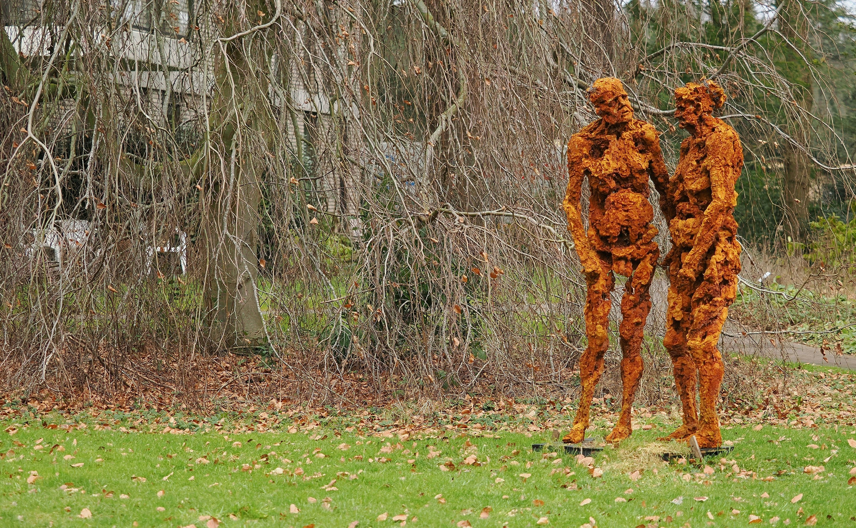 Two Leaf-Cloaked Figures in a Quiet Park