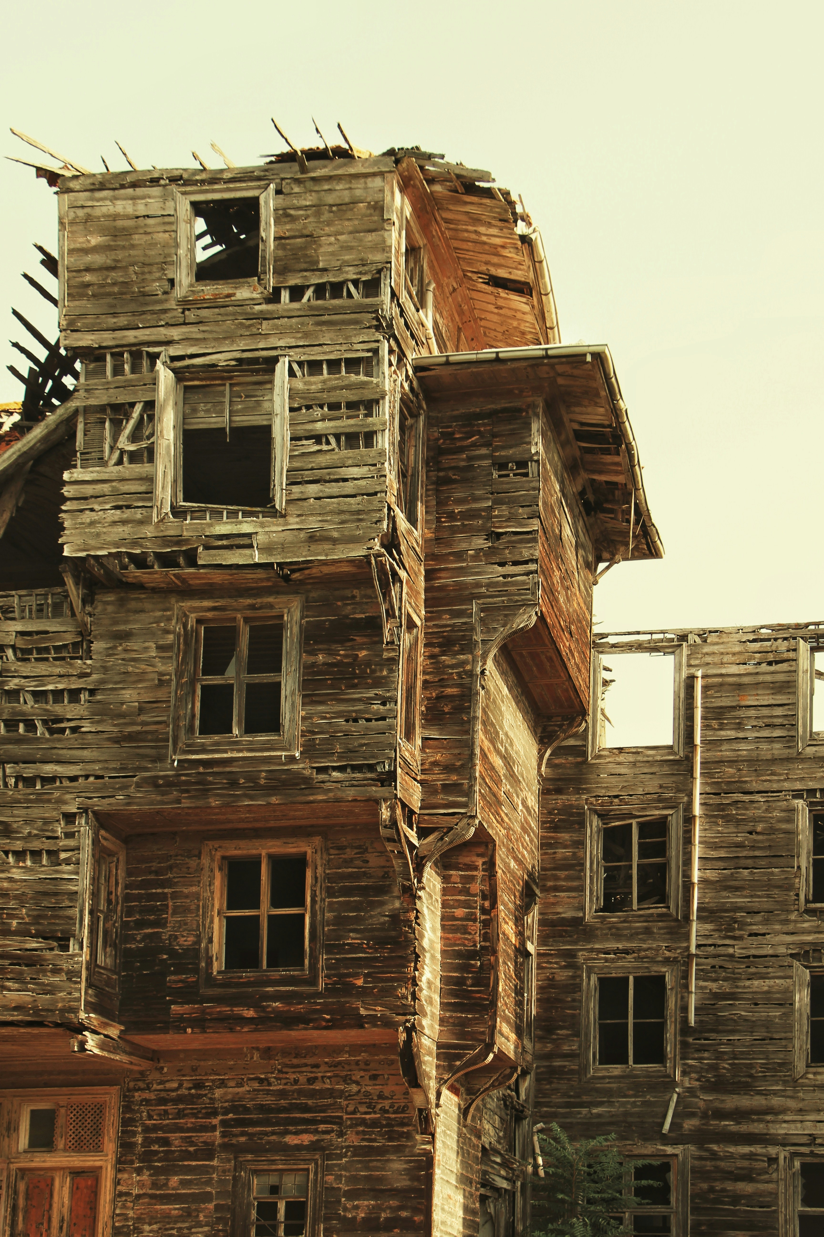 Weathered Watchtower: A Tangle of Timber and Time